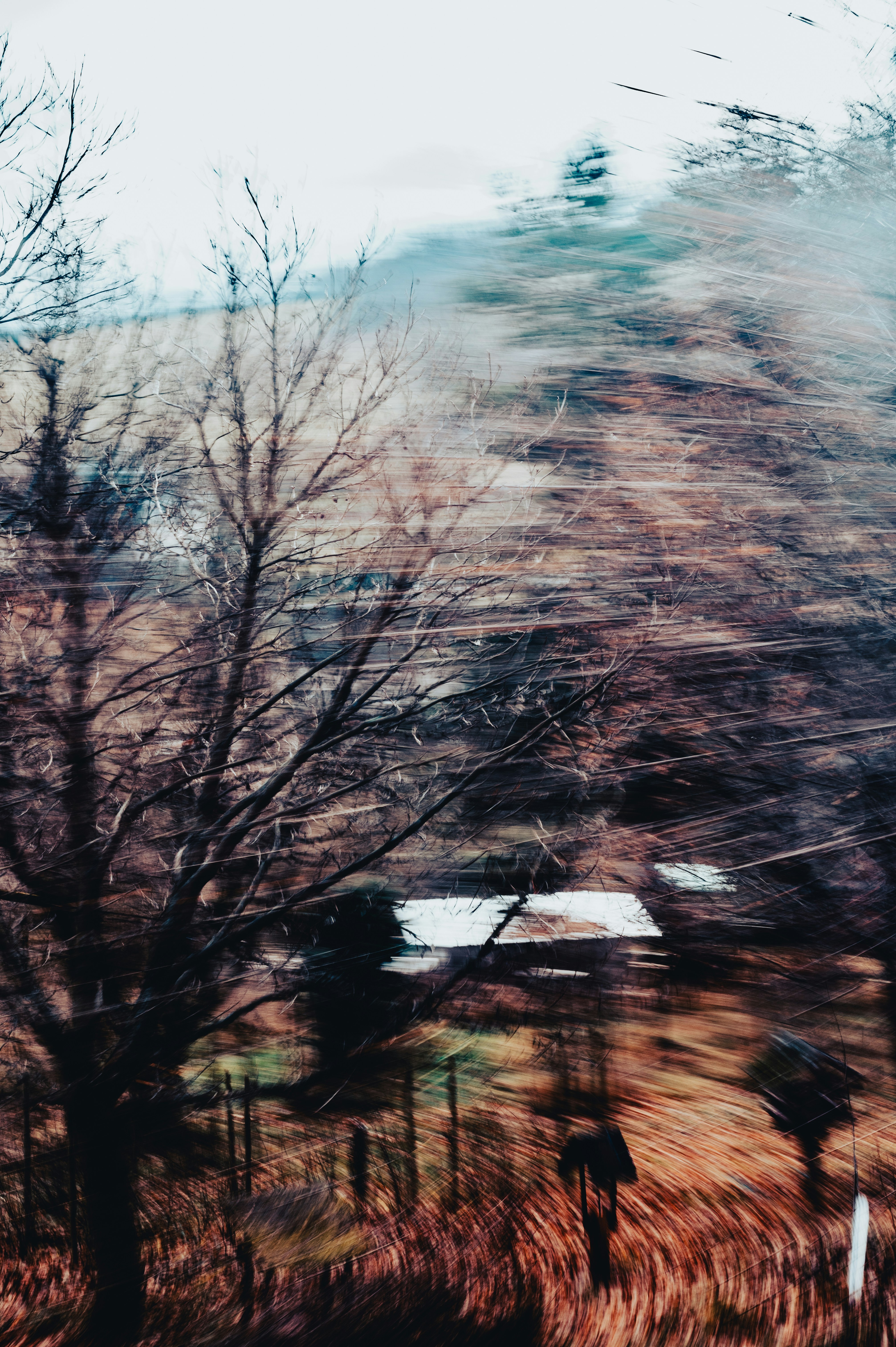 Indie Forest Tumblr Wallpaper