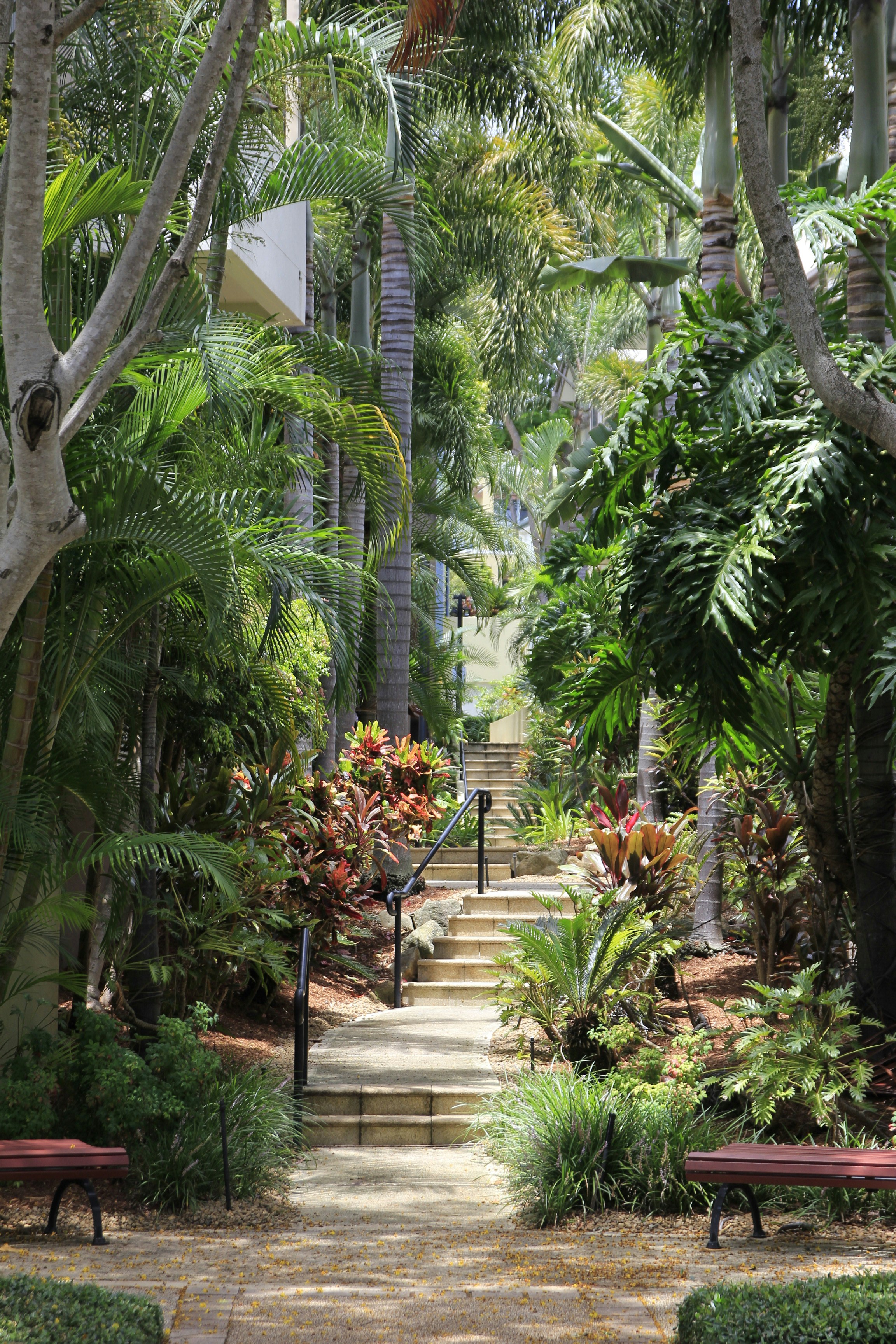 Lush greenery frames a tranquil pathway leading up a set of stone steps, inviting exploration in a tropical garden.