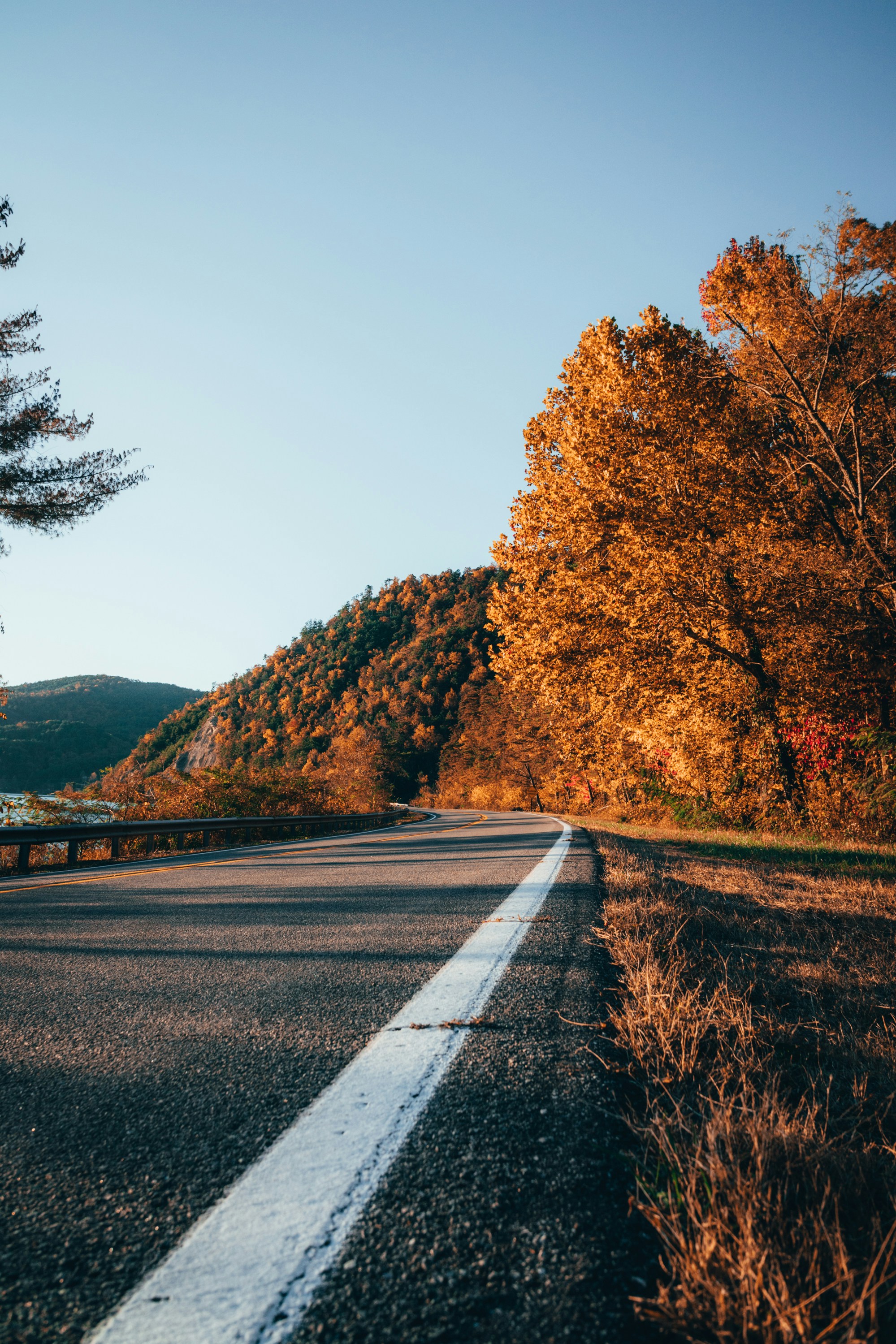 An empty road surrounded by trees in the fall photo – Free Tennessee ...