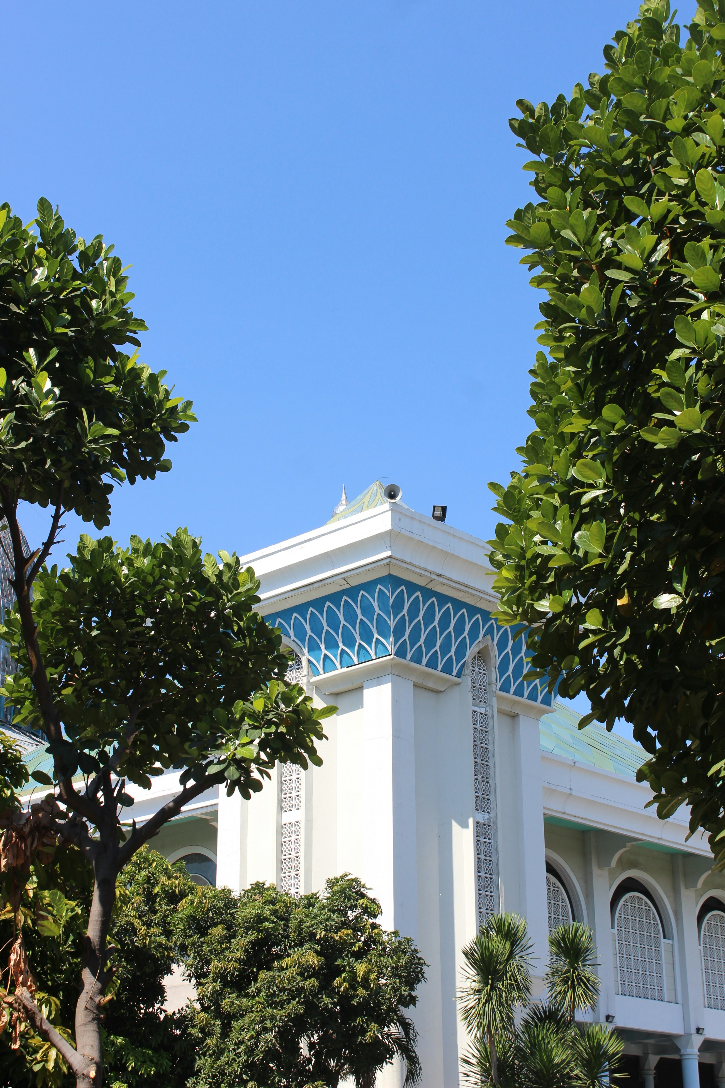 Elegant building adorned with intricate patterns, framed by vibrant green foliage under a clear blue sky.