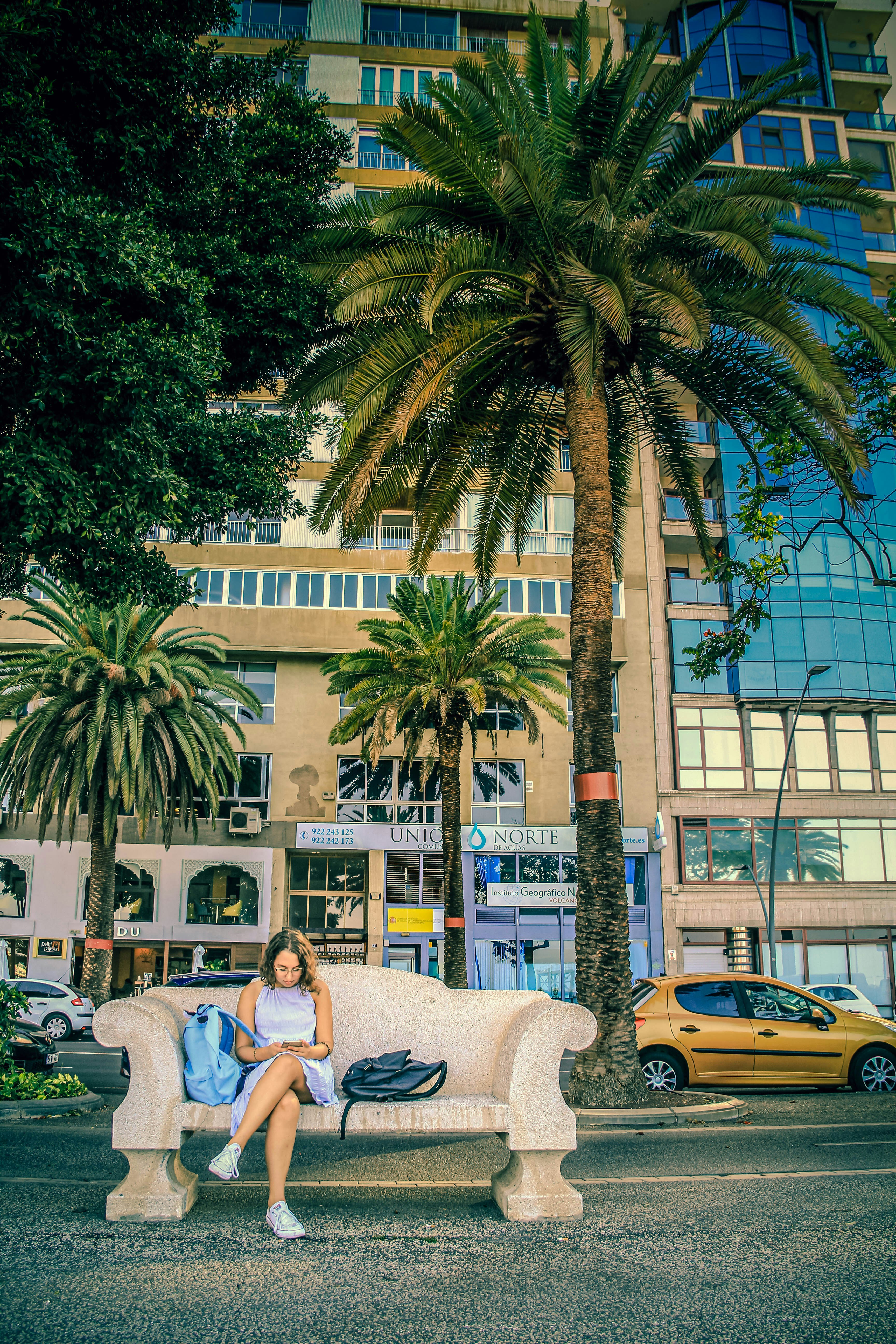 a woman sitting on a bench next to a palm treeFrancisco de Frias