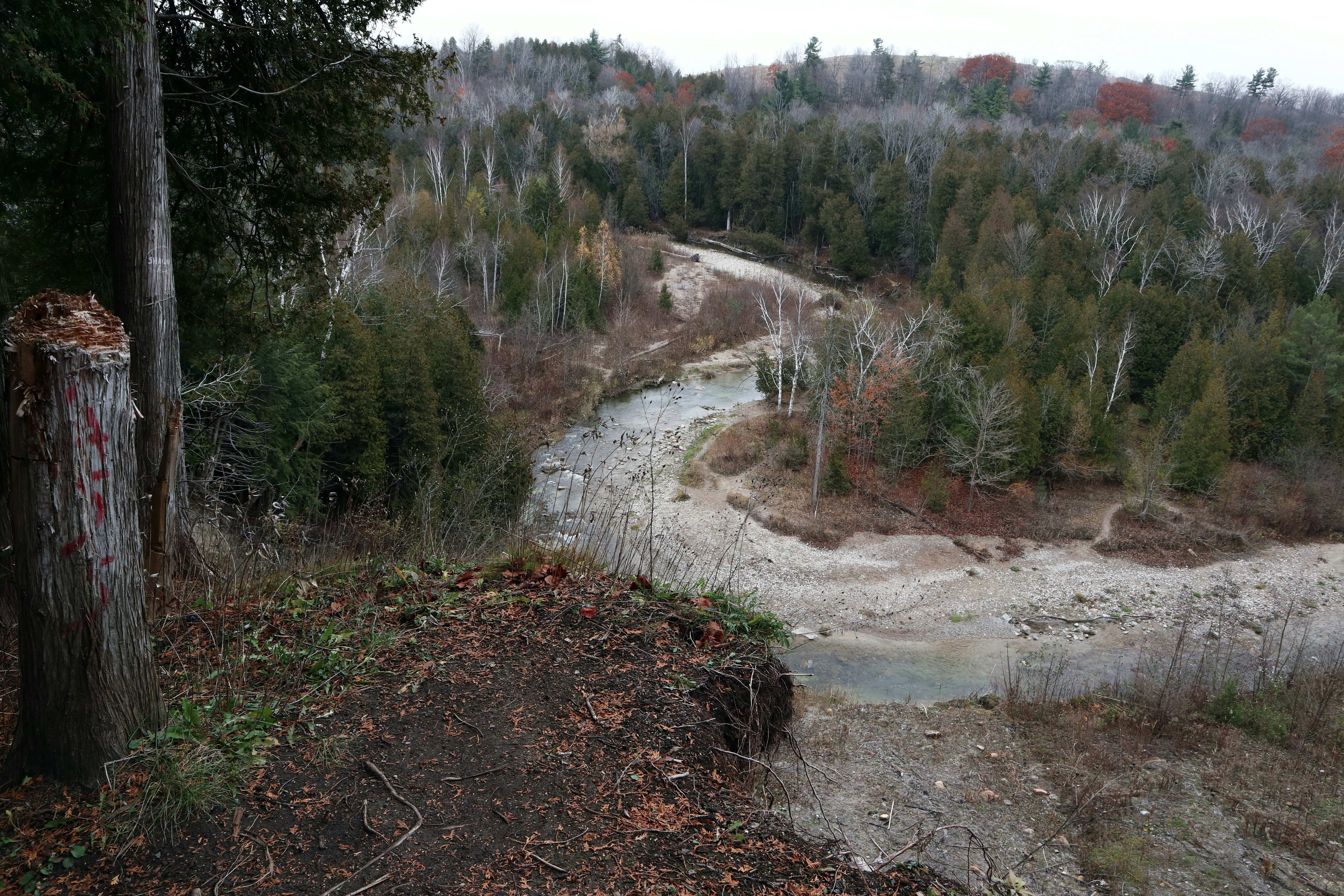 Cliffside Vista: The Meandering River Through a Quiet Autumn Forest