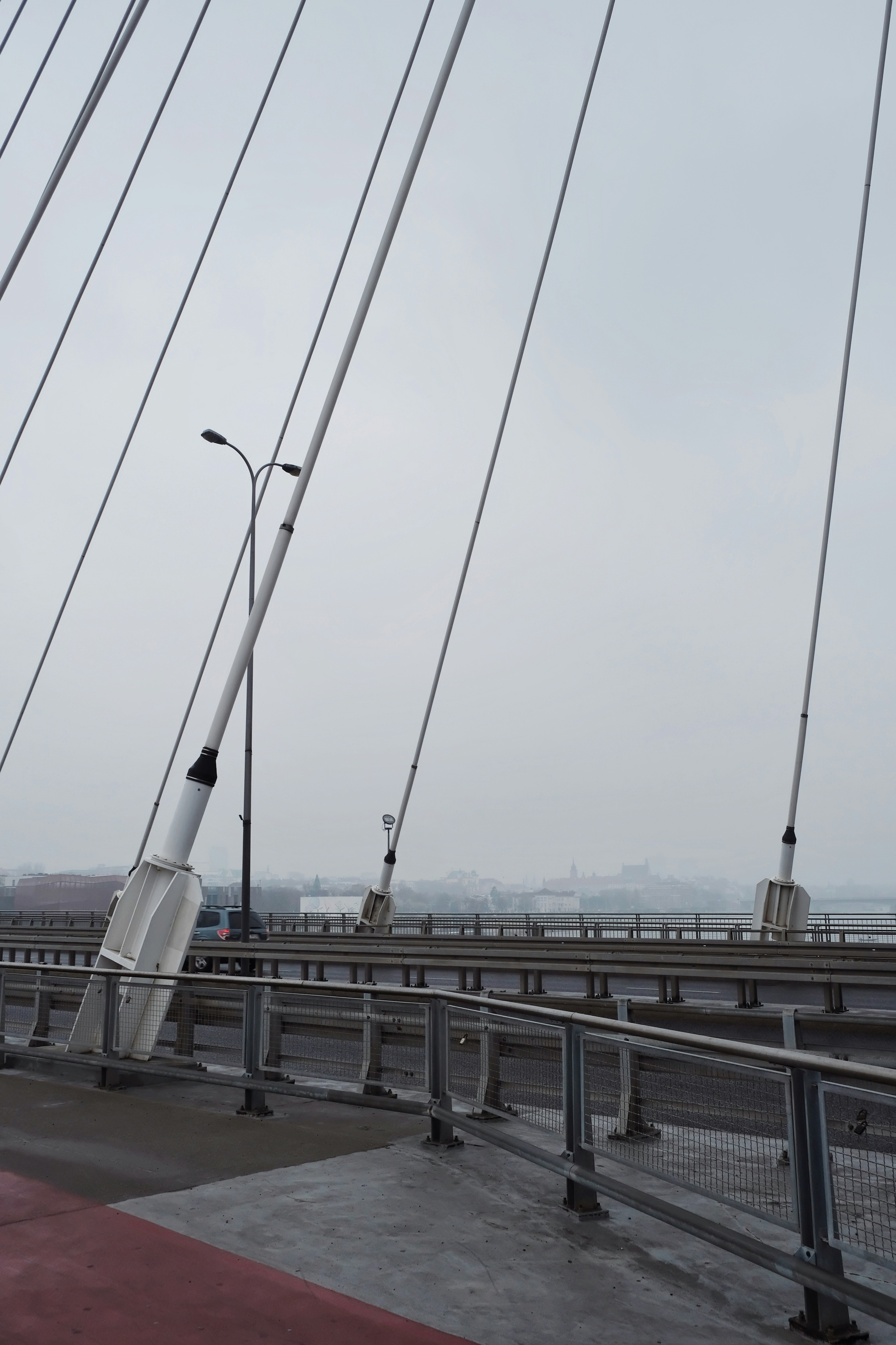 Tension and Tides: A Bridge of Cables Framing a Misty Riverfront