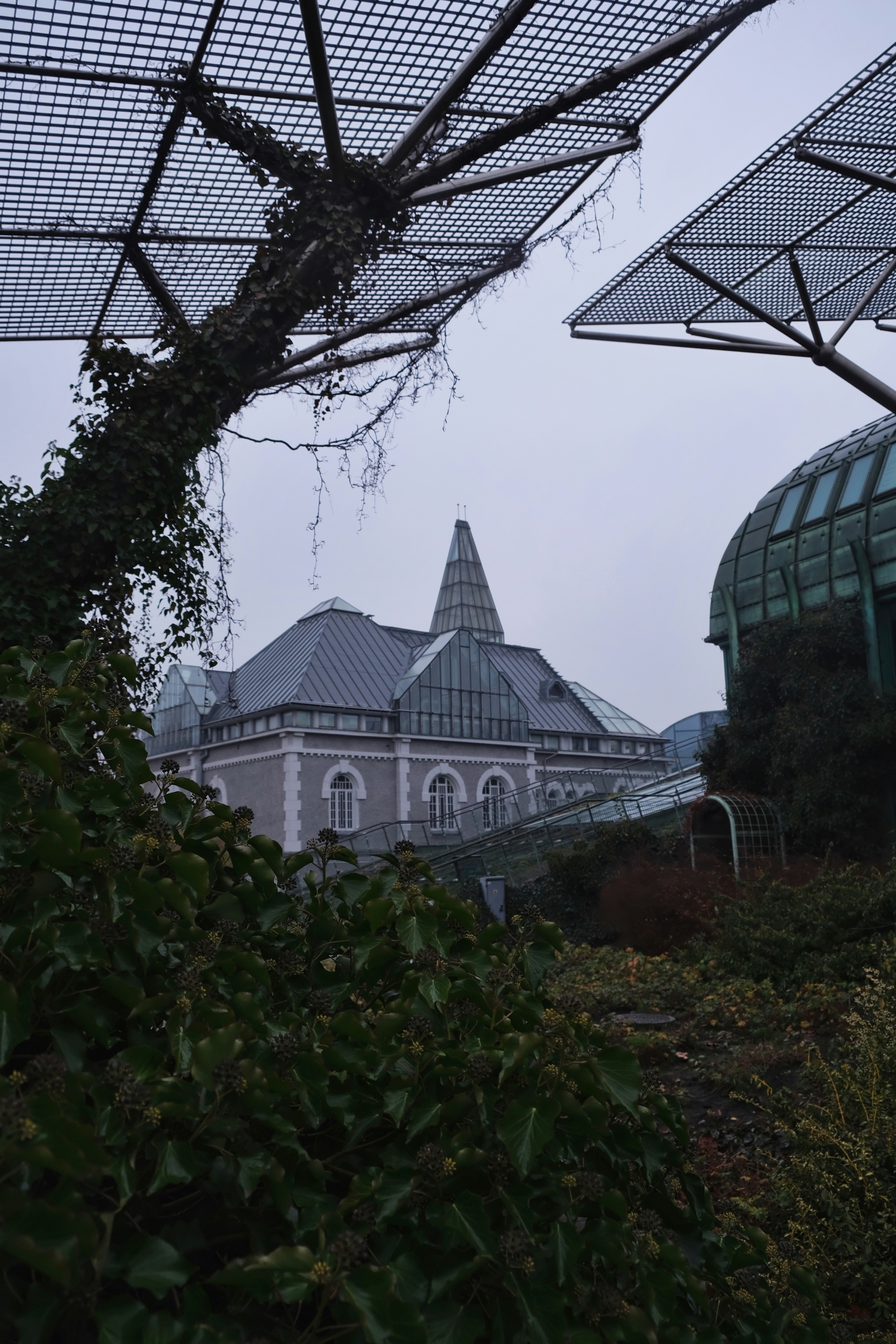 Urban Conservatory: Glass Canopy Framing a Classical Rooftop