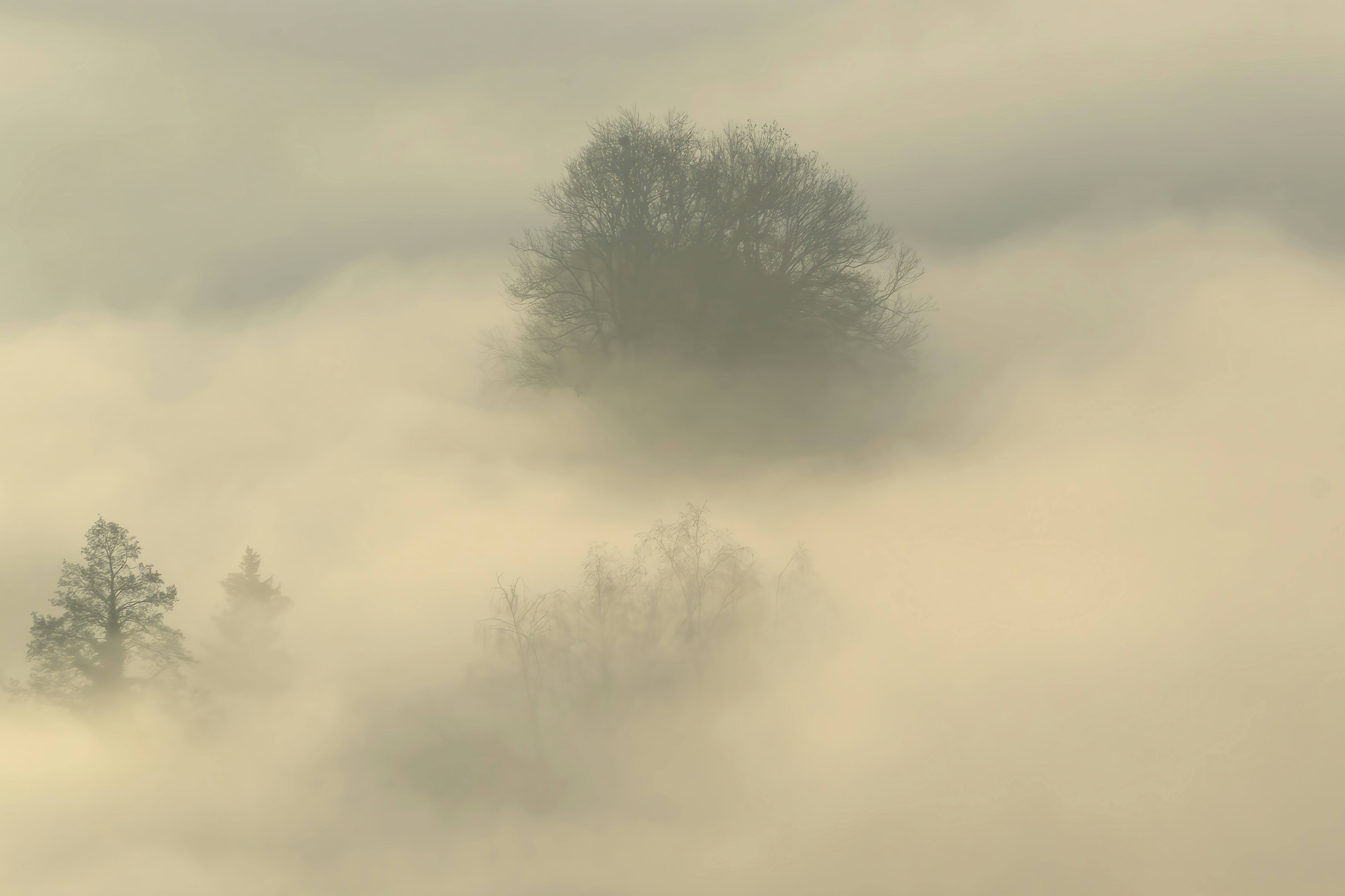 Sample photo from Sony Alpha 7R IV