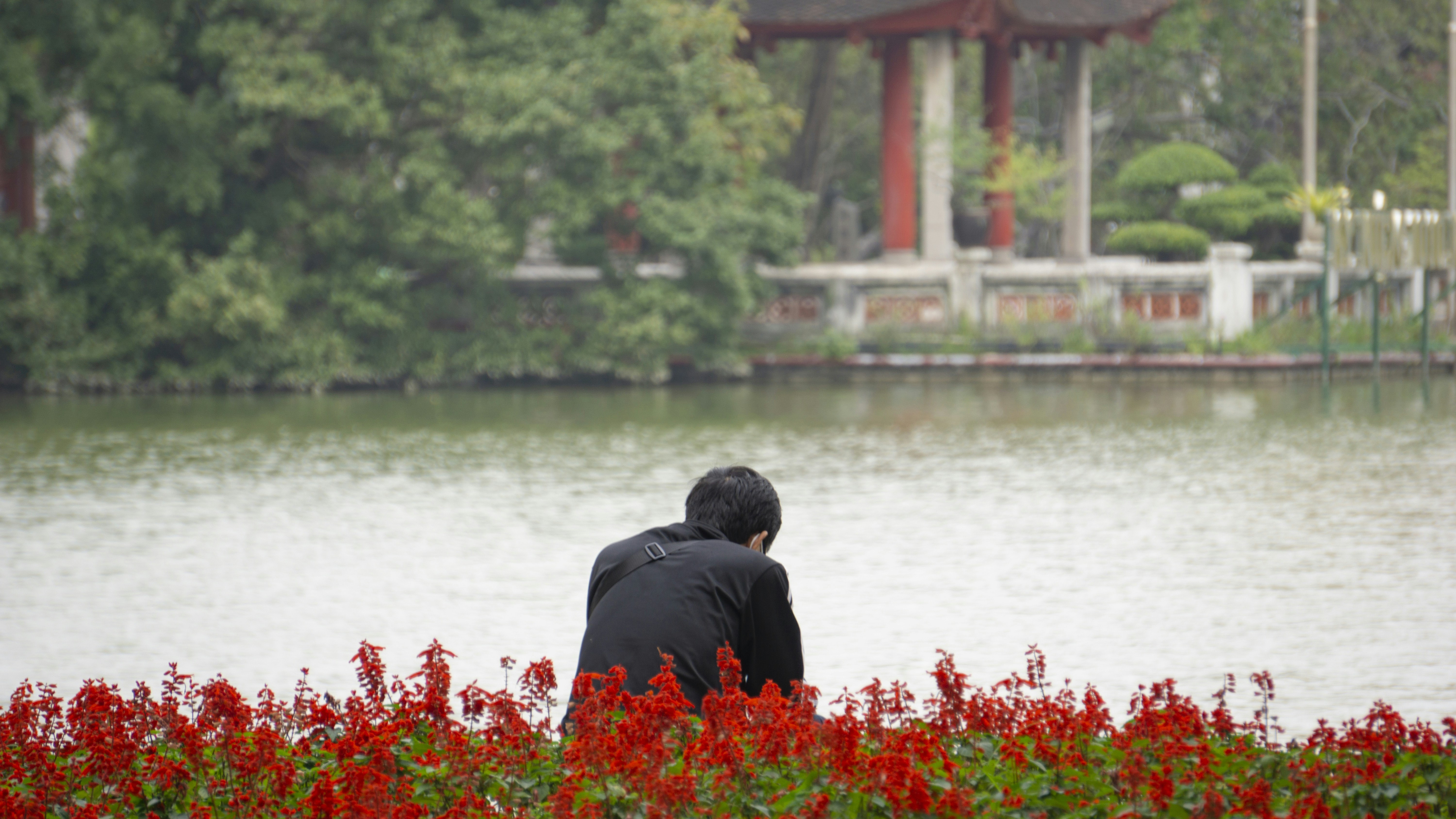 A solitary figure gazes over a serene lake, framed by vibrant red flowers in the foreground and traditional architecture in the background.