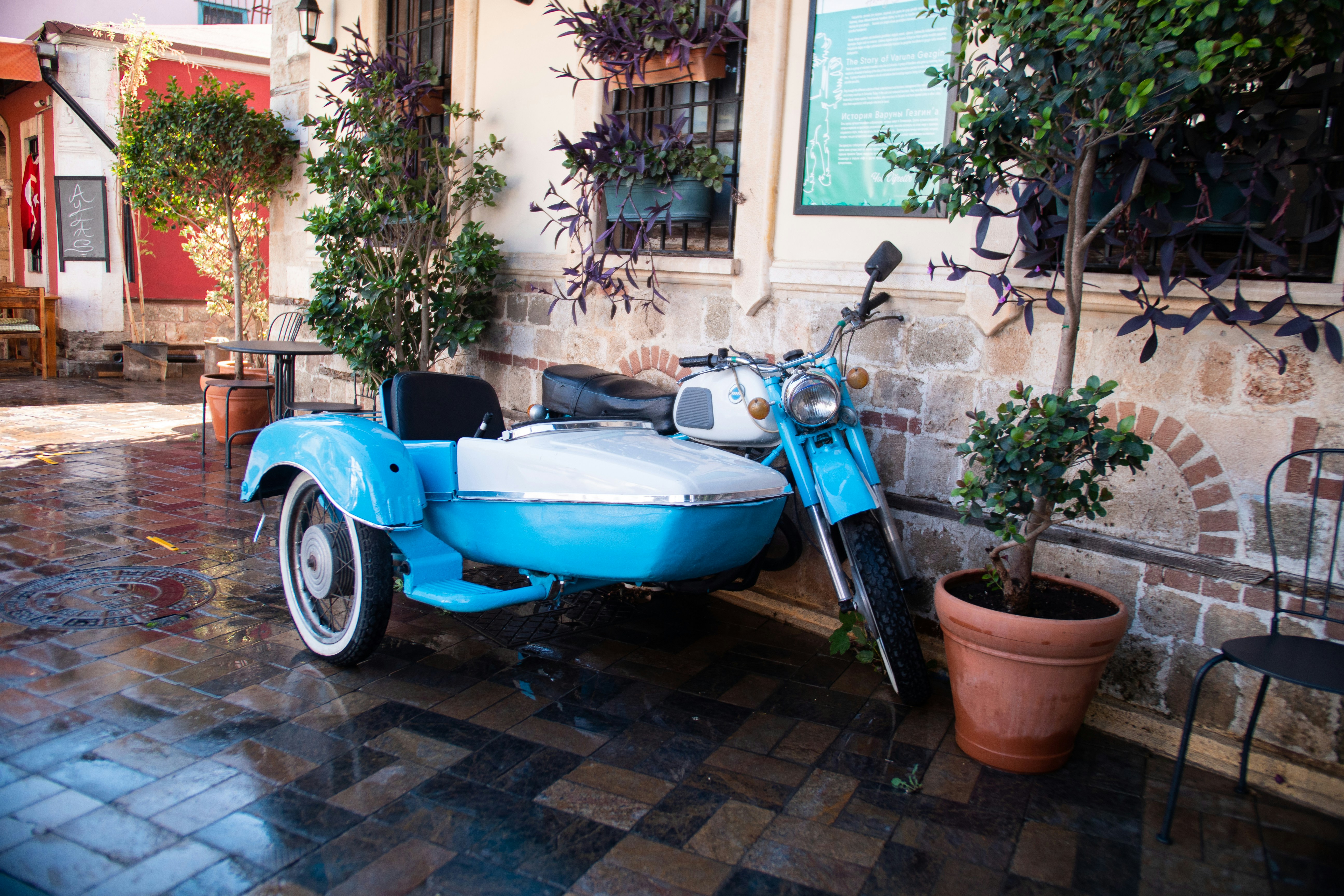 Azure vintage scooter and sidecar tucked beside potted plants in a sunlit courtyard