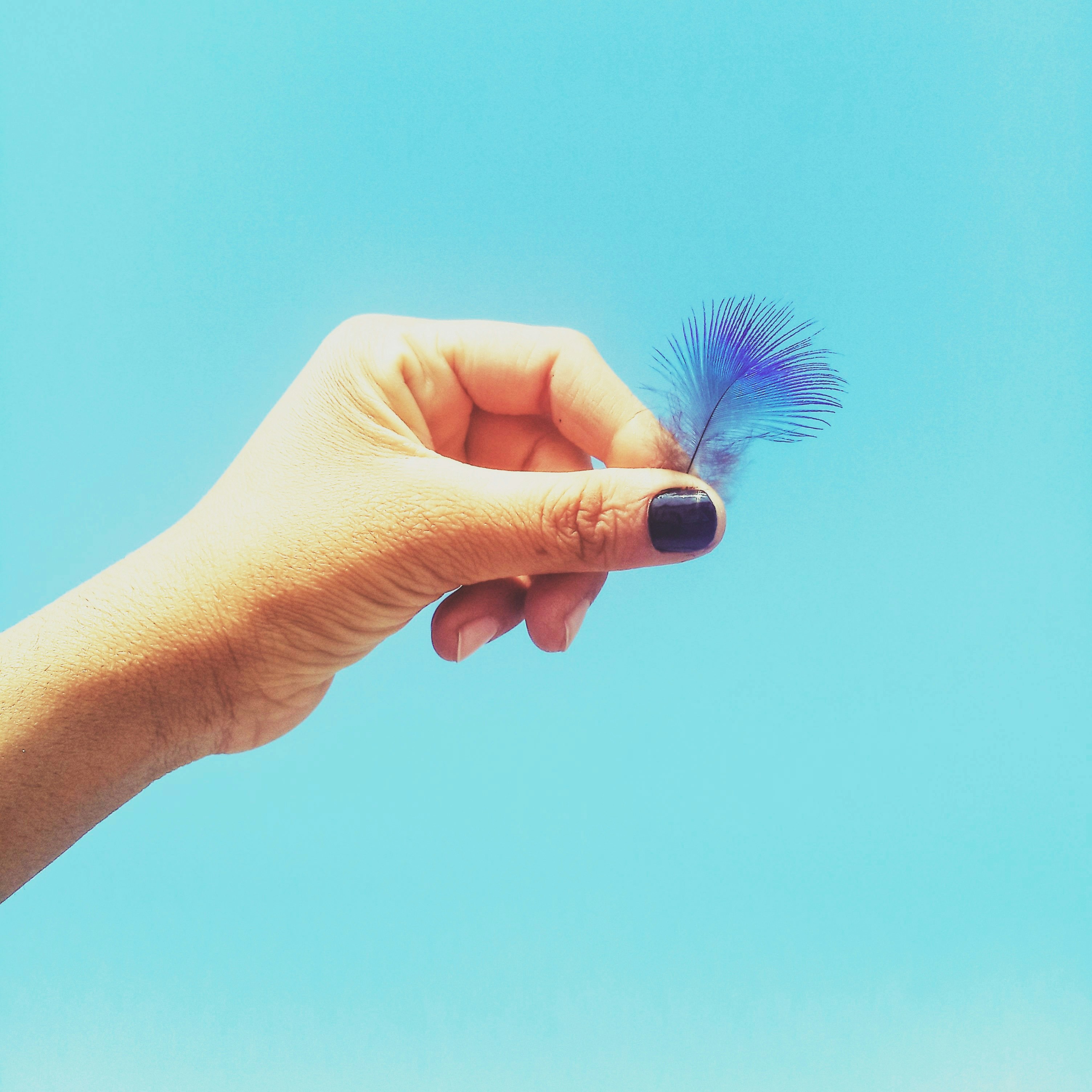 La main d’une personne tenant une plume bleue contre un ciel bleu photo ...
