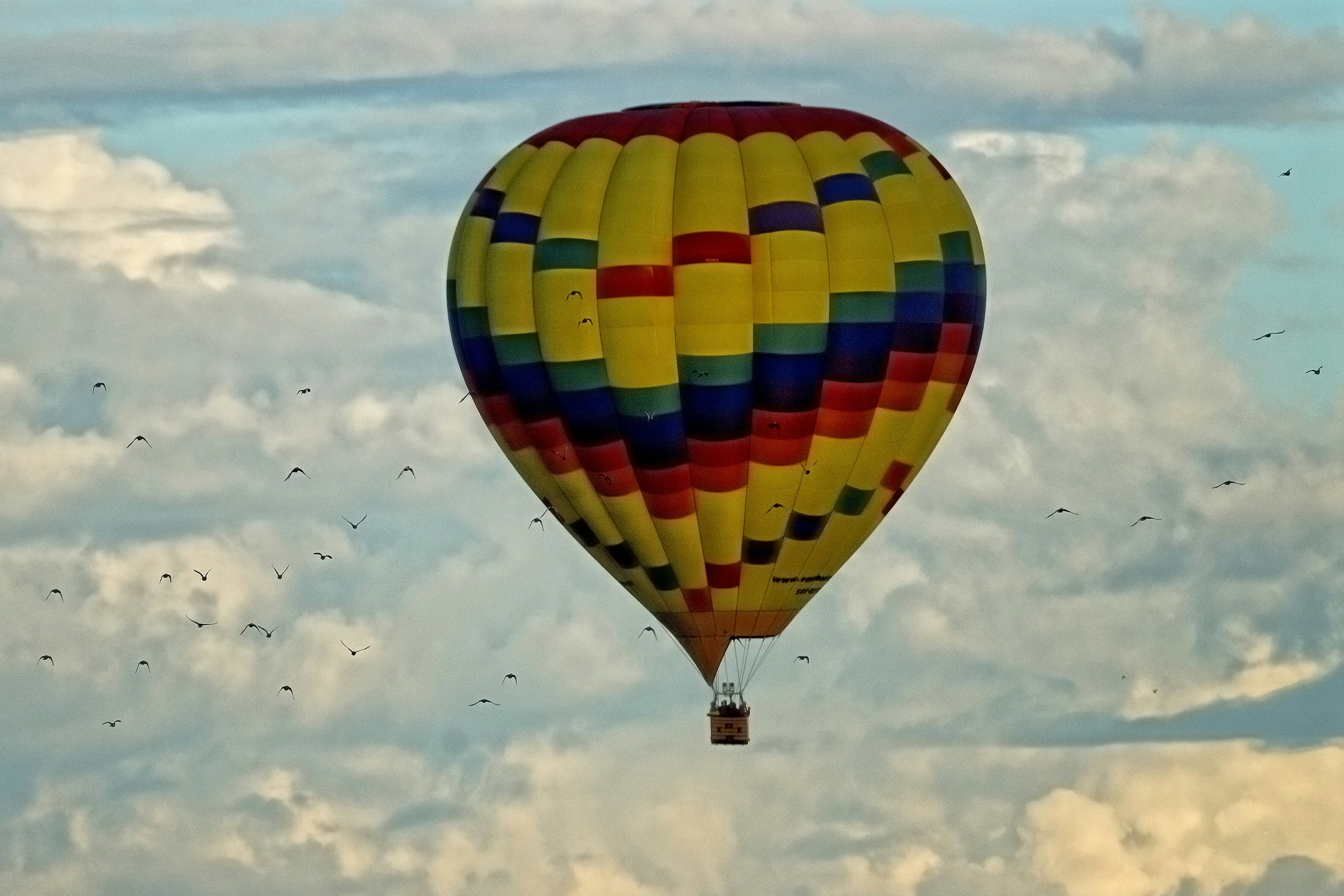 Hot air balloon, birds and clouds