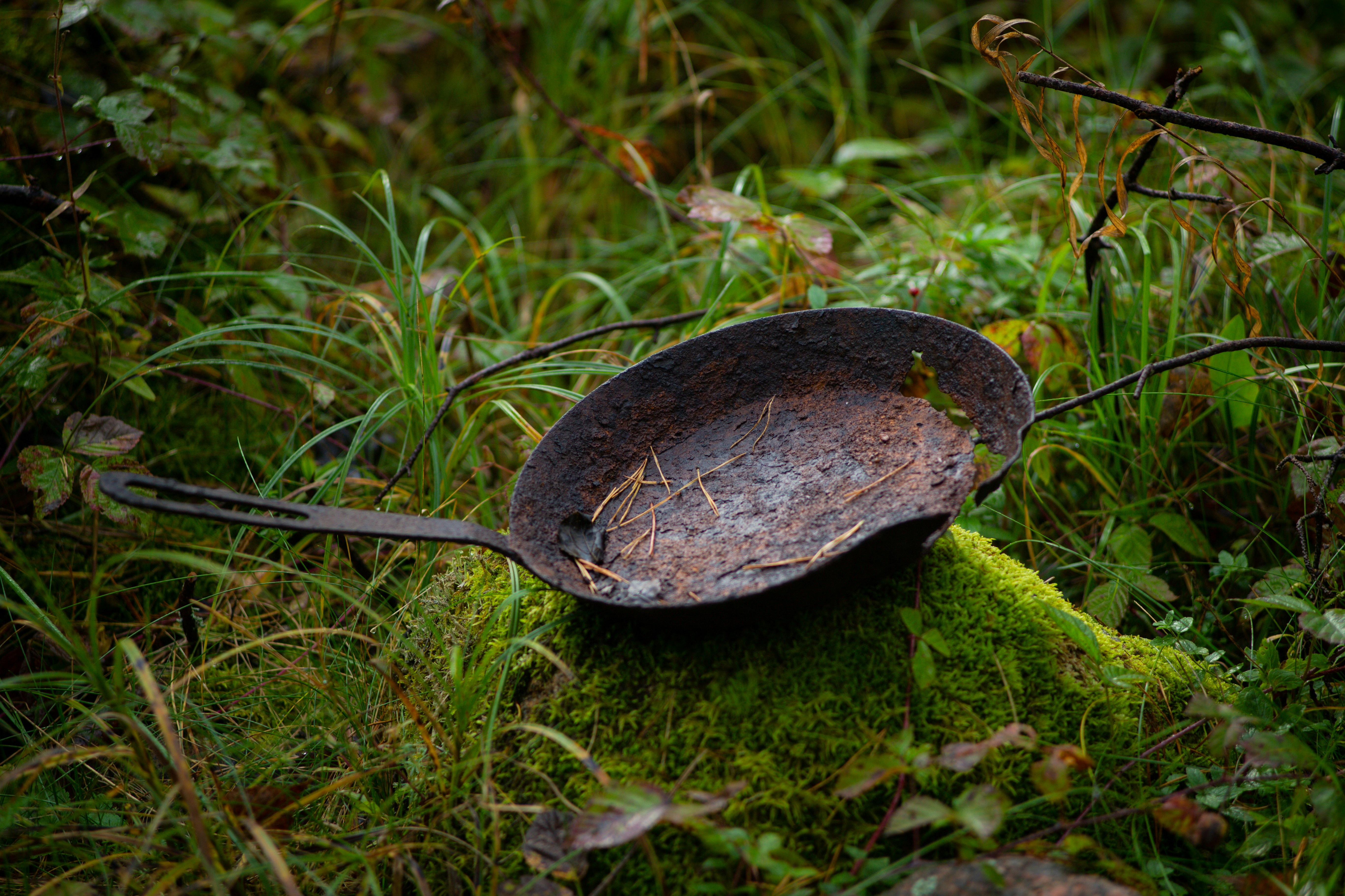 Rusty frying pan resting on a mossy surface, surrounded by lush greenery and fallen leaves.