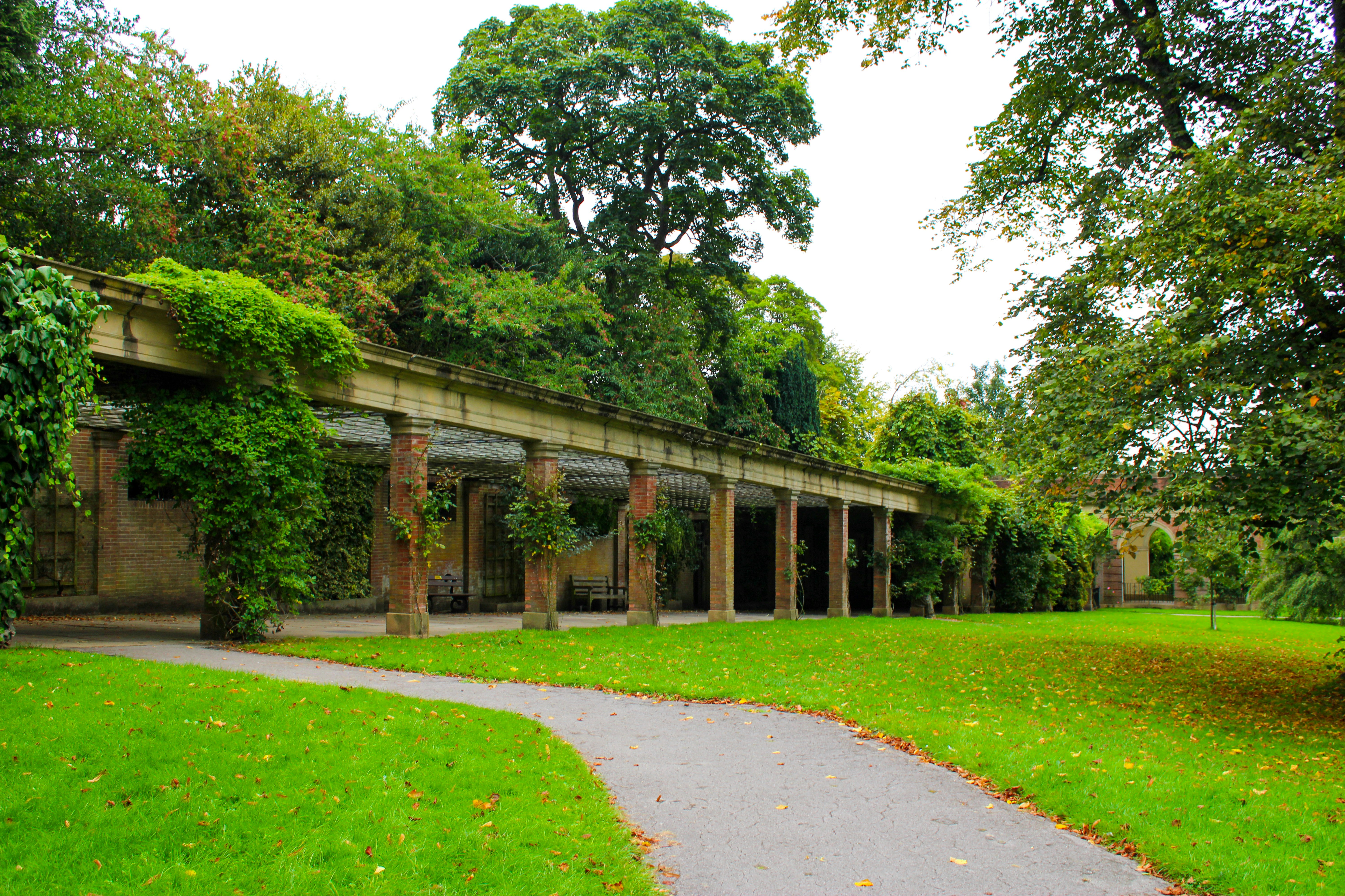 A walkway in the middle of a lush green park photo – Free Harrogate ...