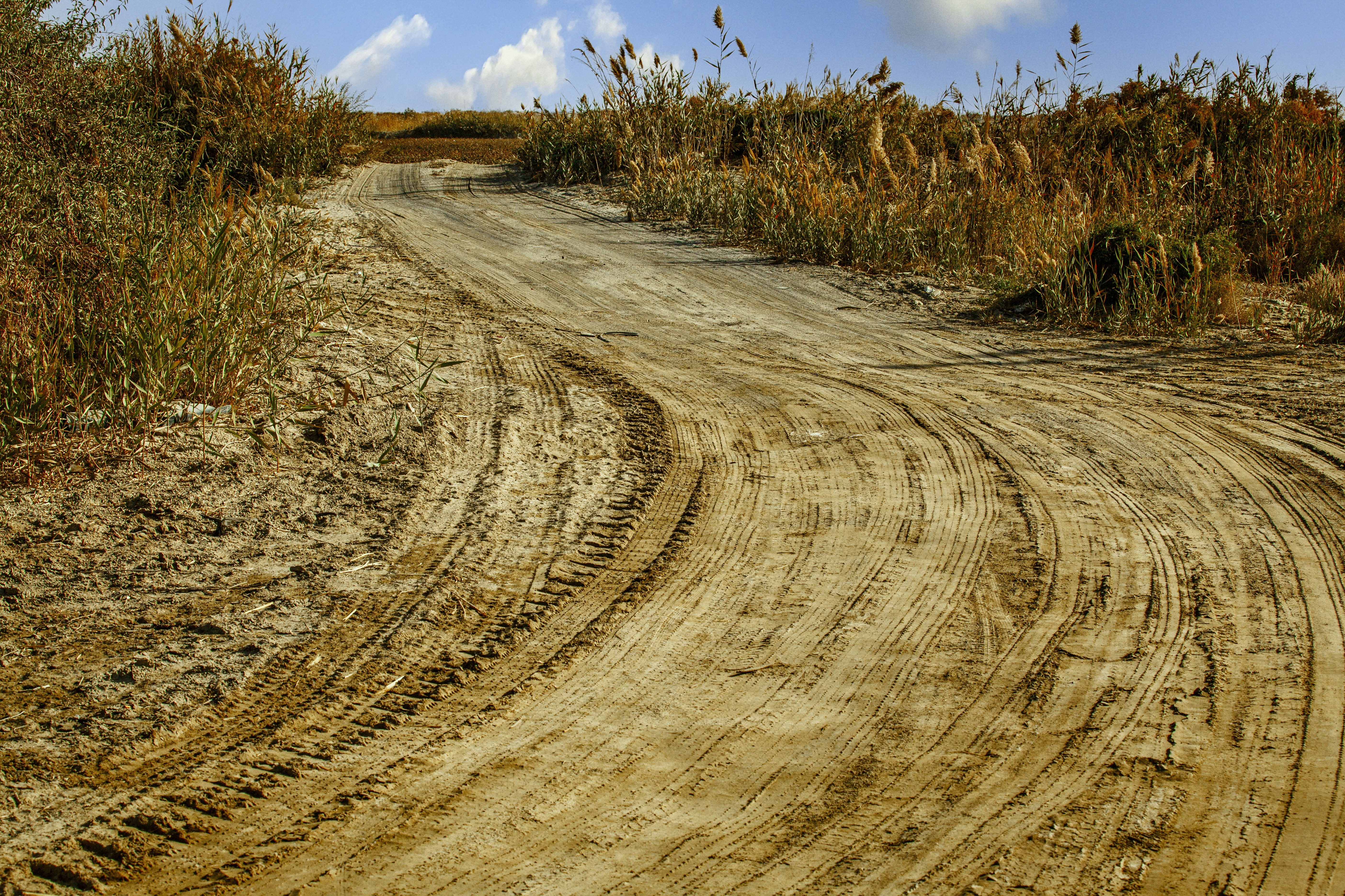 a dirt road in the middle of a field