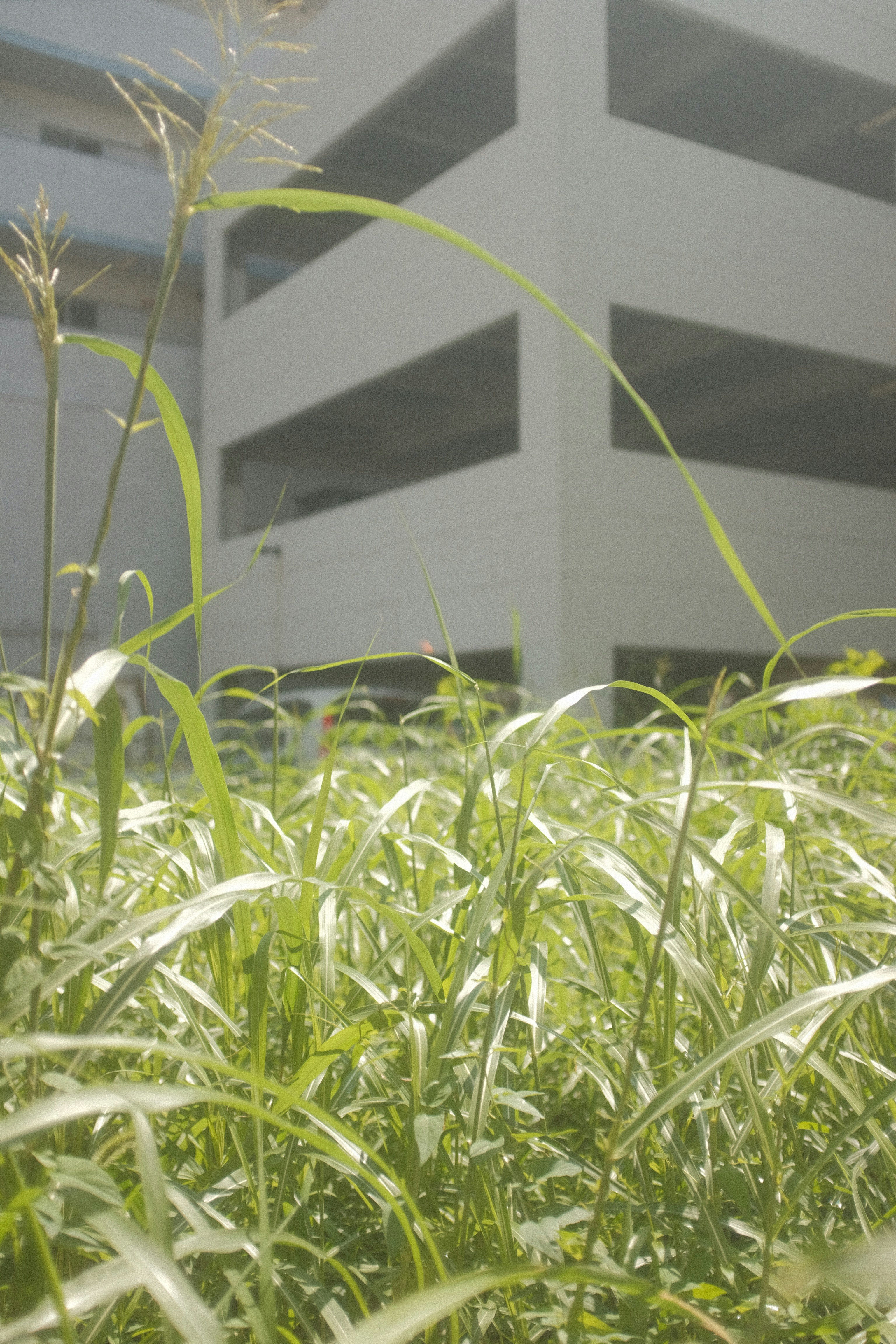 a tall building sitting next to a lush green field