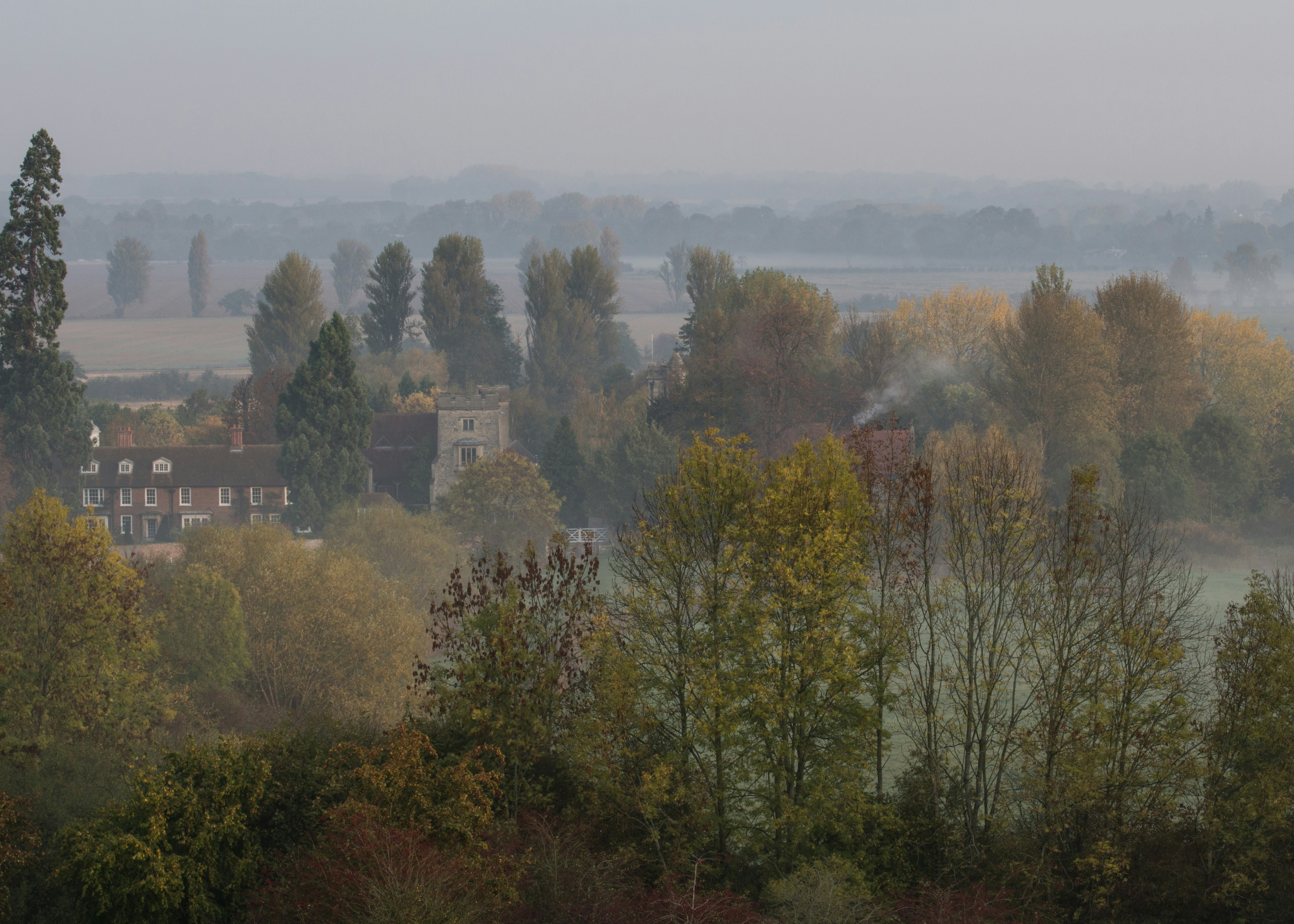 A foggy day in a rural area with houses and trees photo – Free Mist ...