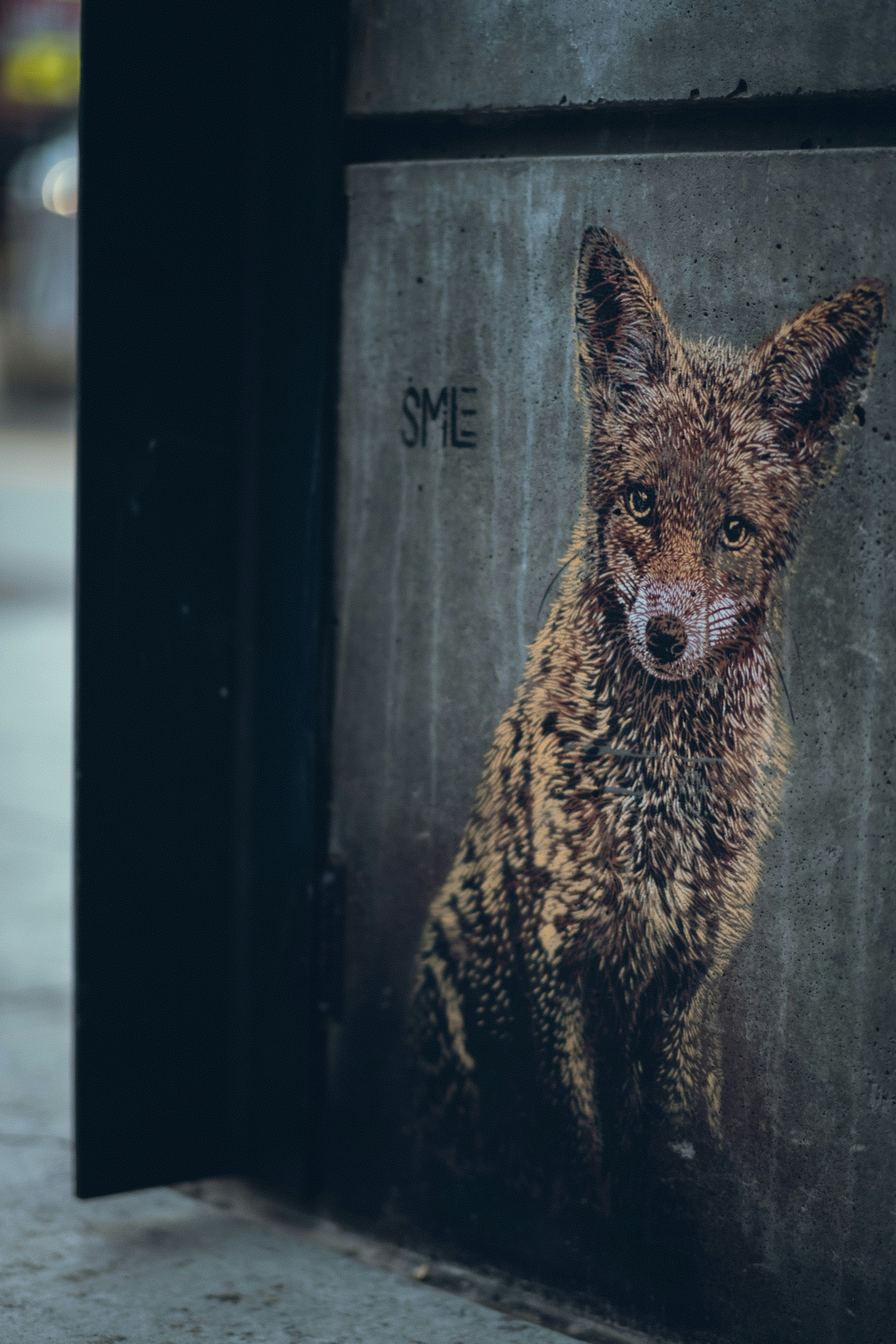 Urban Canid on Concrete: A Street-Worn Portrait