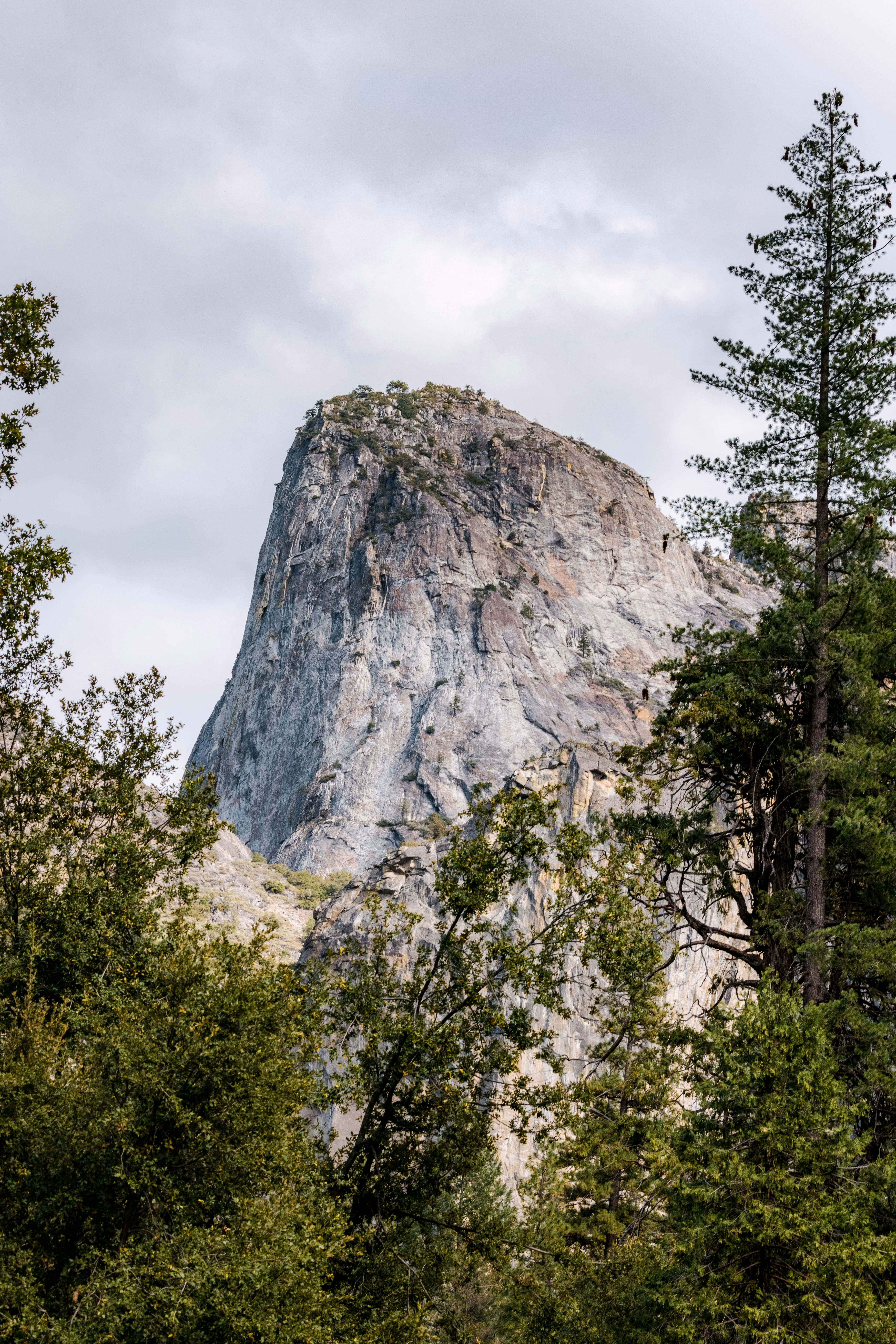 Un gros rocher au milieu d’une forêt photo – Photo Gris Gratuite sur ...