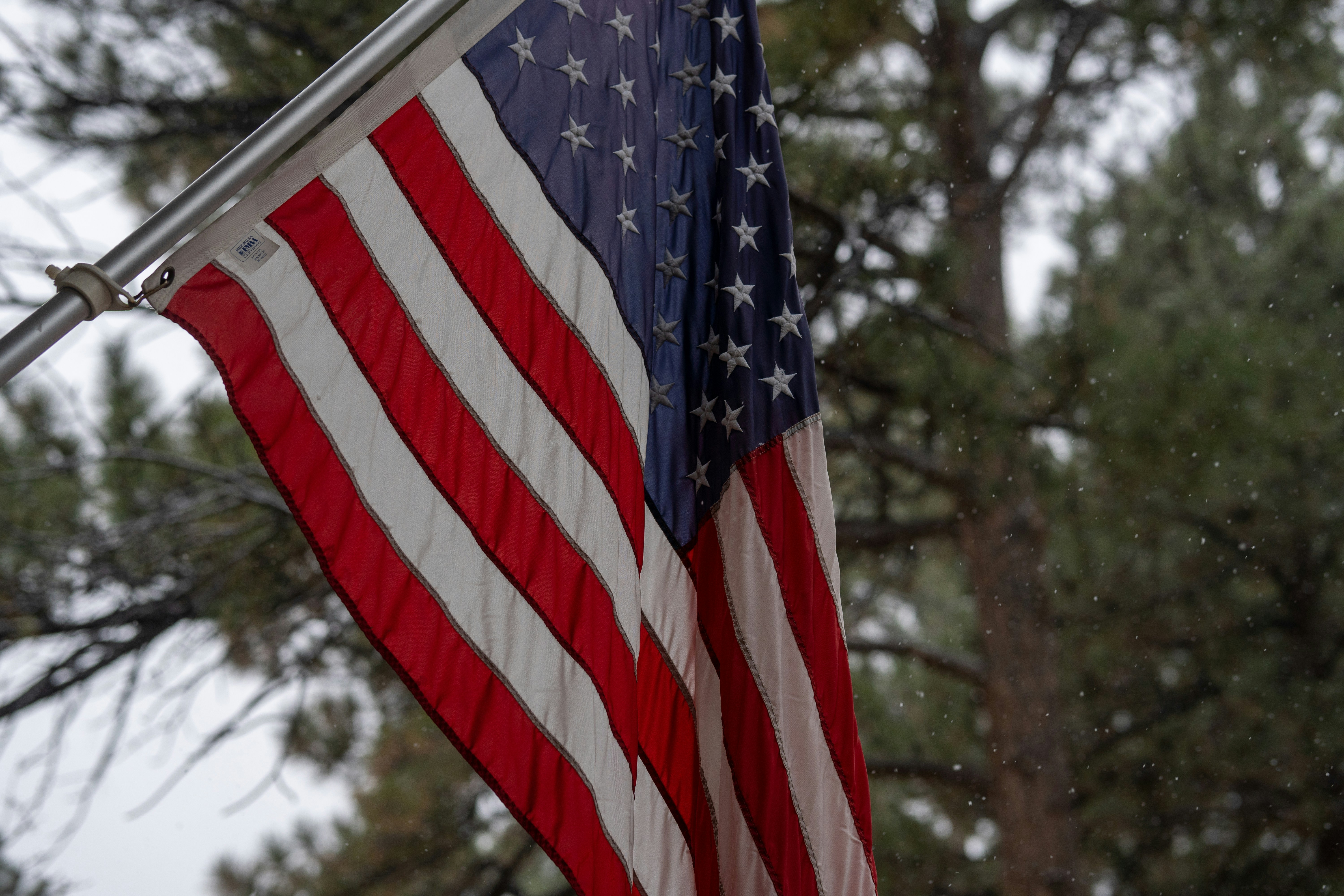 Diagonal Flag in the Rain: Stripes Against Pines