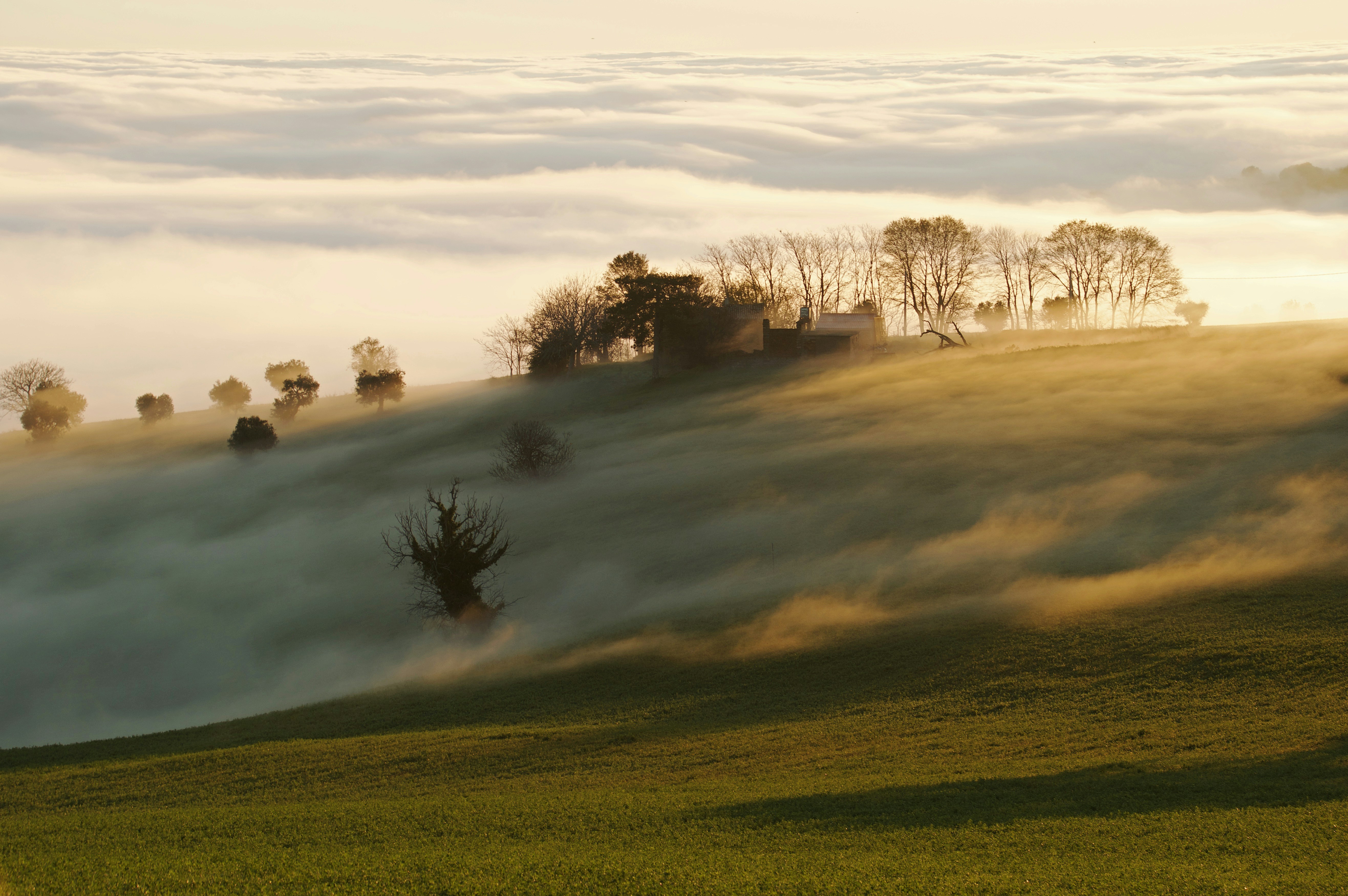 A hill covered in fog with trees in the distance photo – Free Outdoors ...