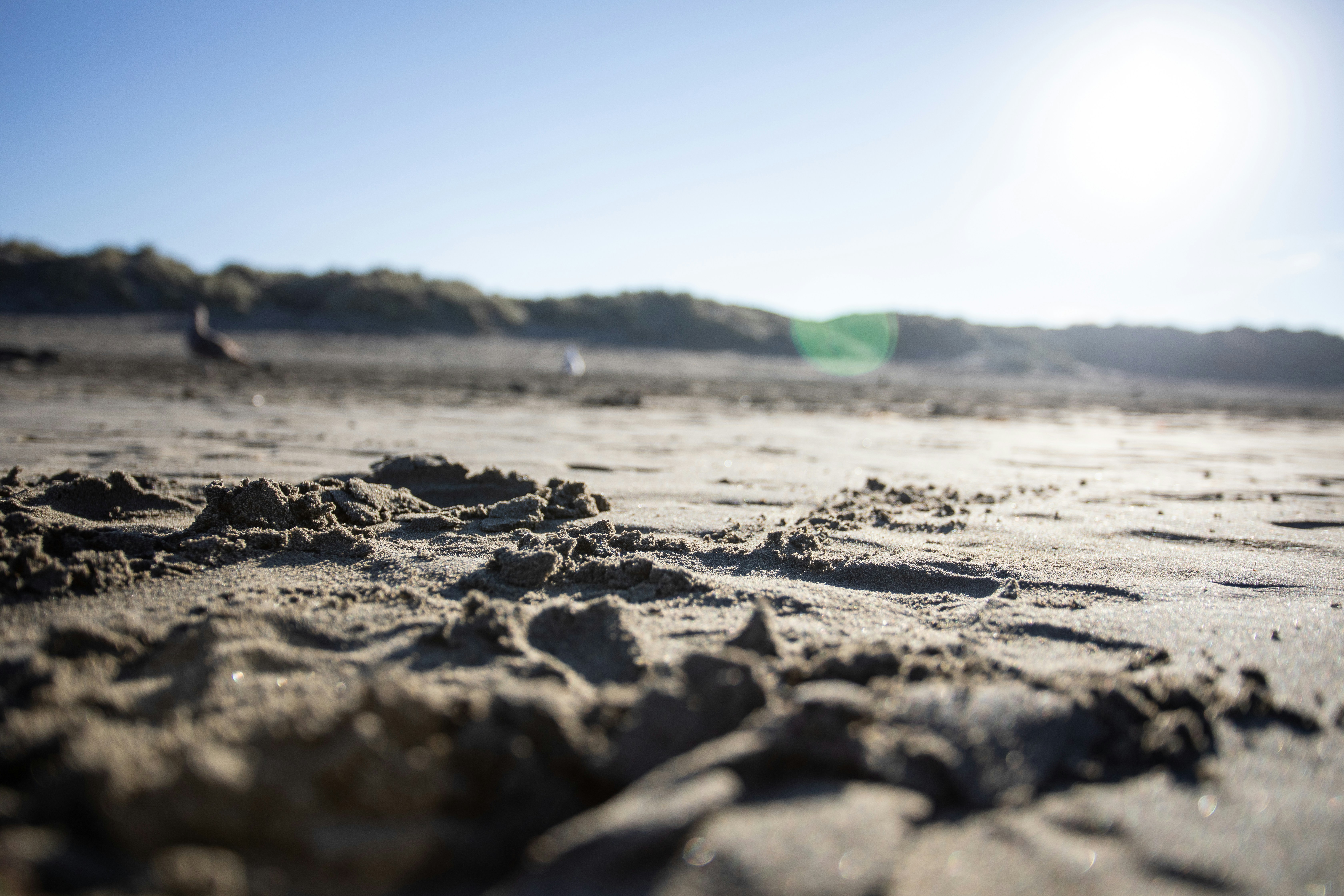 Edge of the Shore: Close-Up Sand Textures with Dune Backdrop