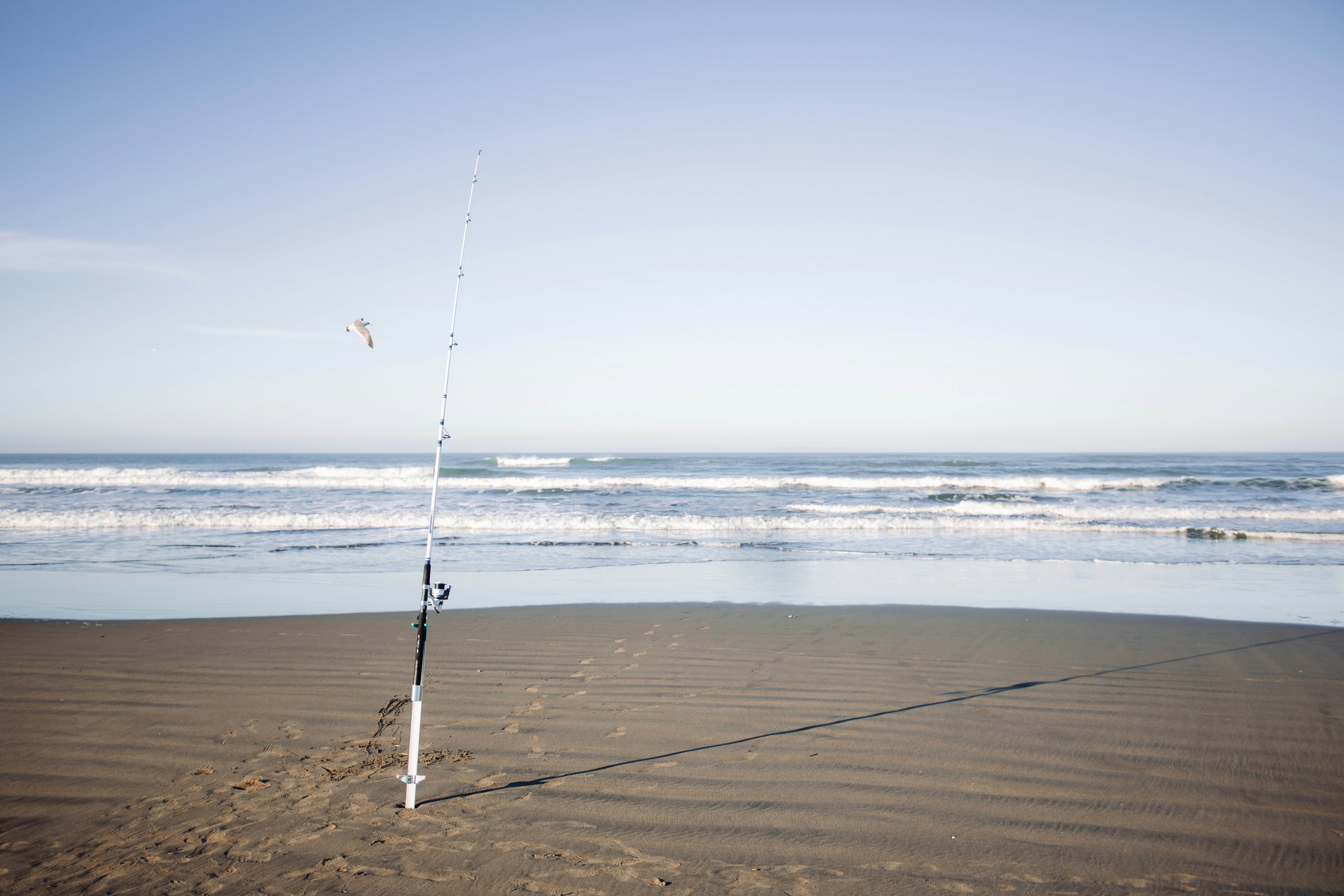 Dawn Cast on the Quiet Shore: A Lone Rod Stands Against the Sea