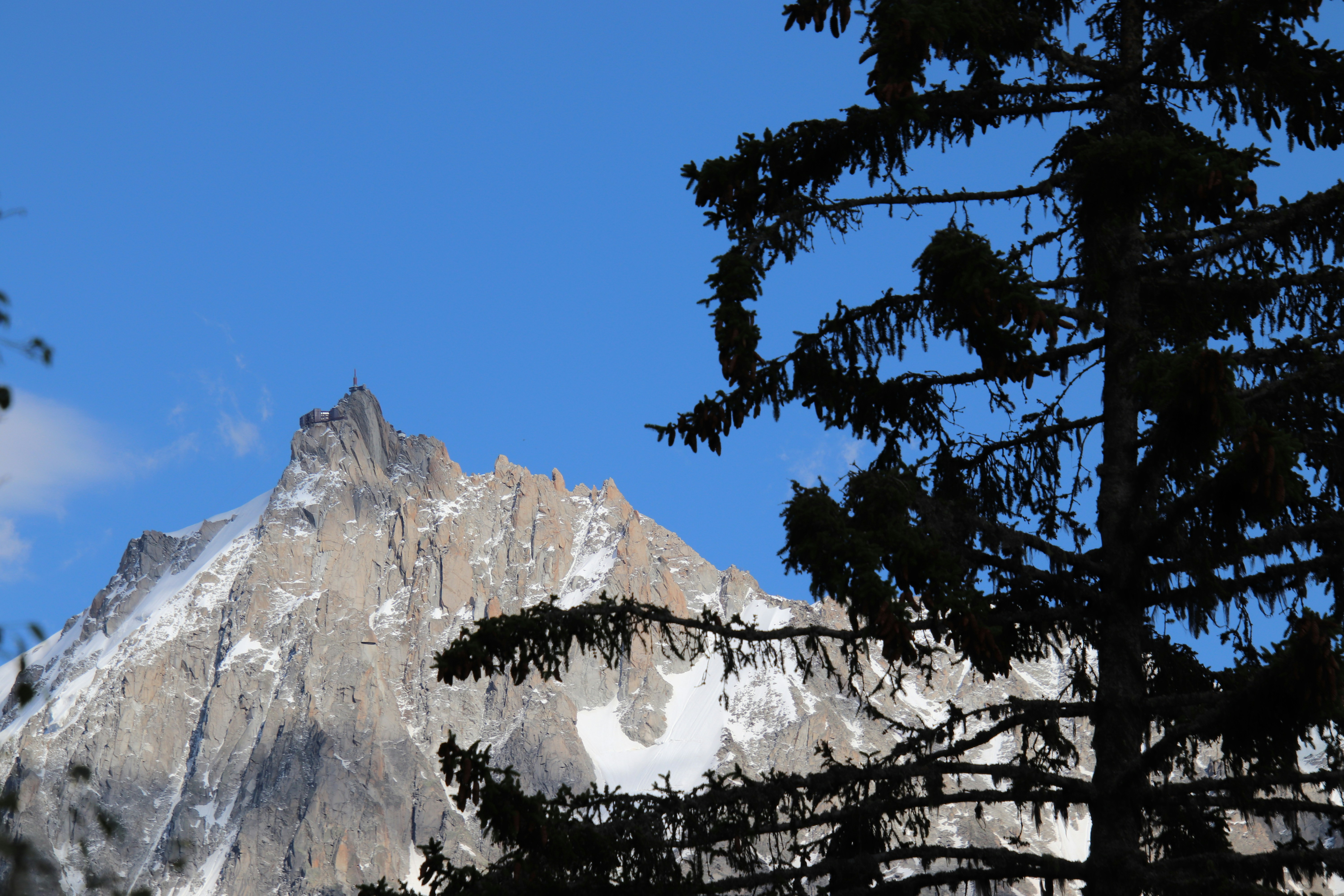 Snow-Capped Peak Emerges through Dark Pine Veil