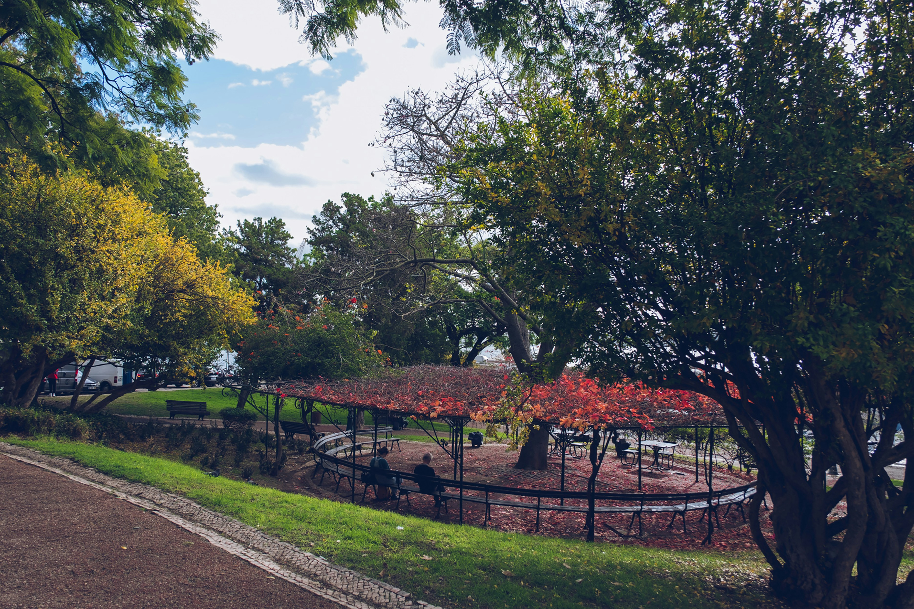A serene park scene featuring vibrant autumn foliage and visitors enjoying the tranquil atmosphere beneath the trees. The circular seating area invites relaxation amidst the colorful surroundings.