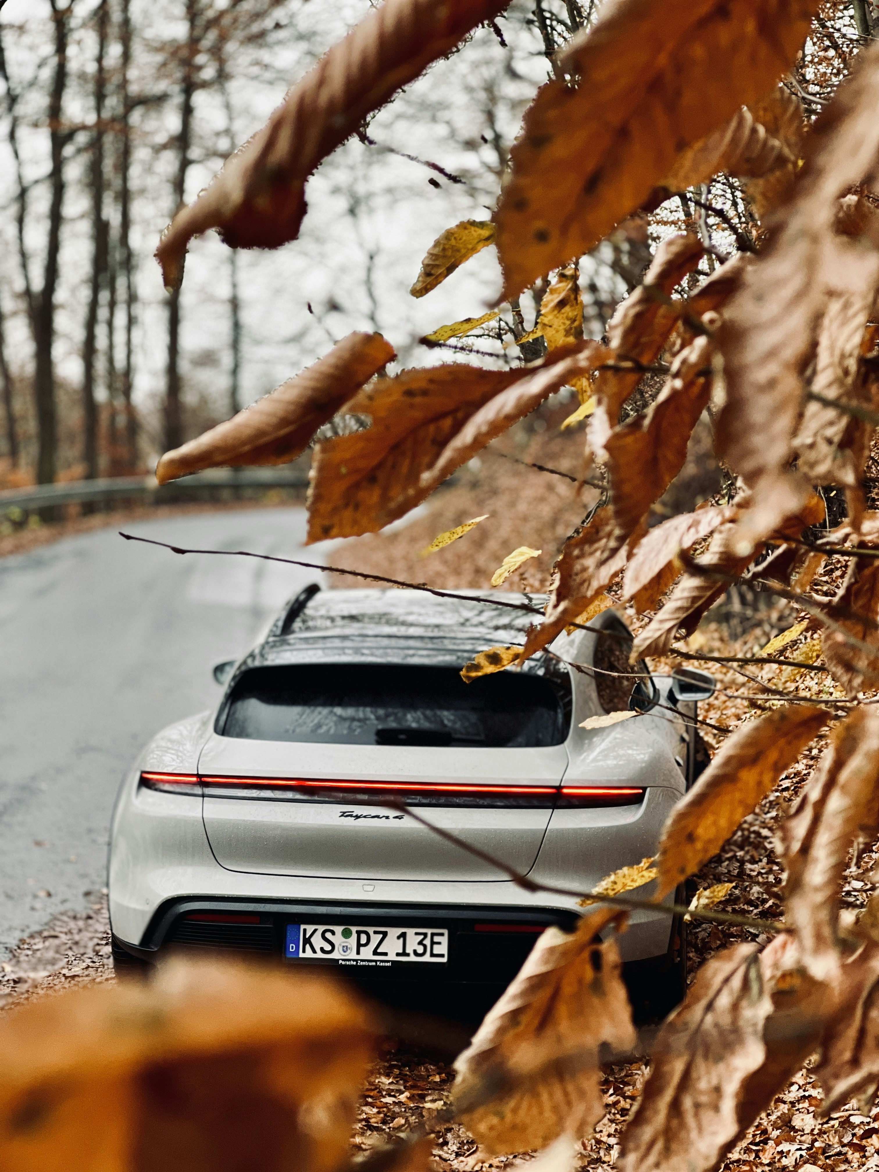 Autumn Drift on a Leaf-Littered Road: Silver Porsche Taycan Recedes into the Trees