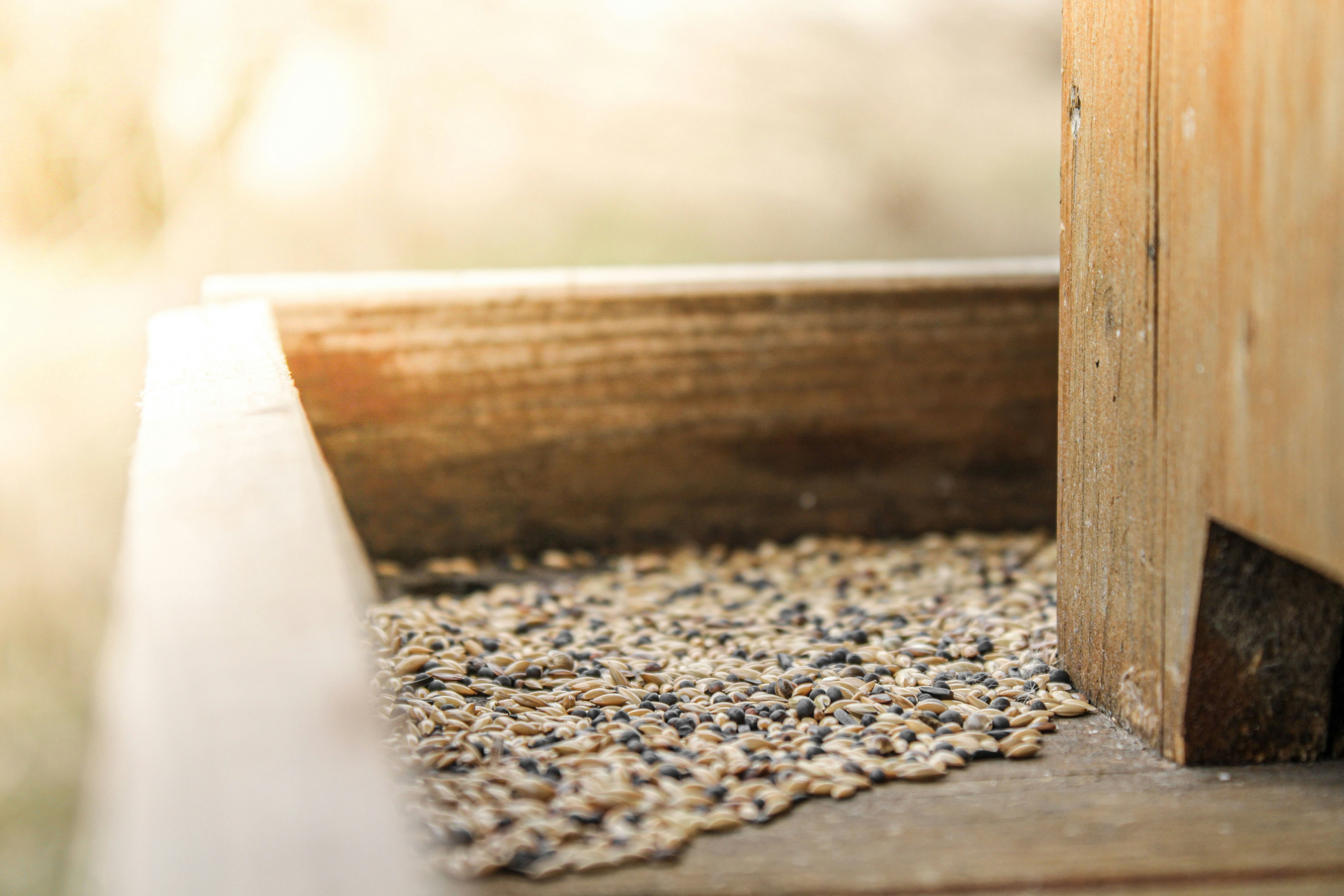 A close up of a door with a wooden frame photo – Free Delta vacaresti ...