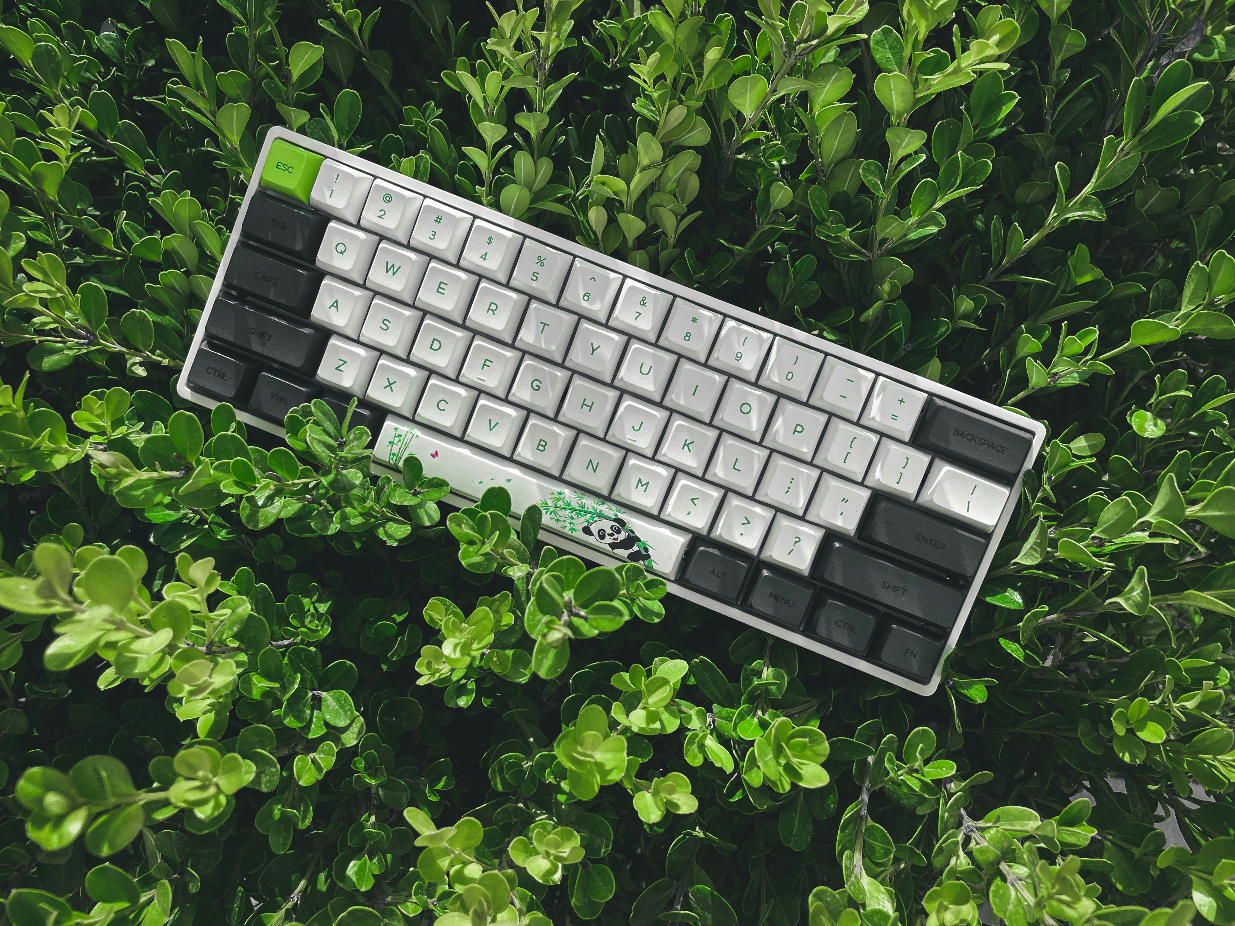 Keycaps in the Underbrush: A Minimalist Keyboard Among Shrubs