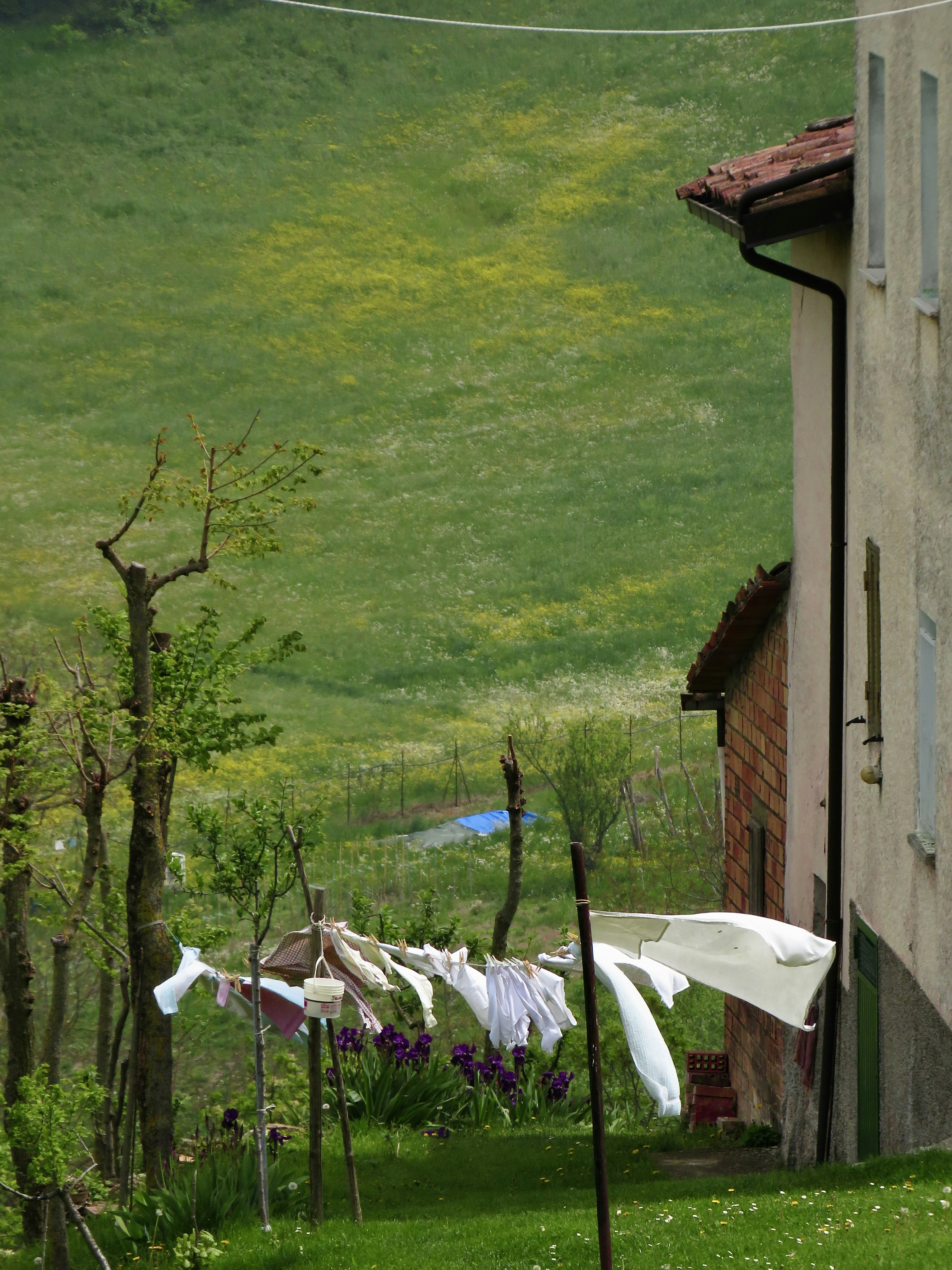 clothes hanging out to dry on a clothes line