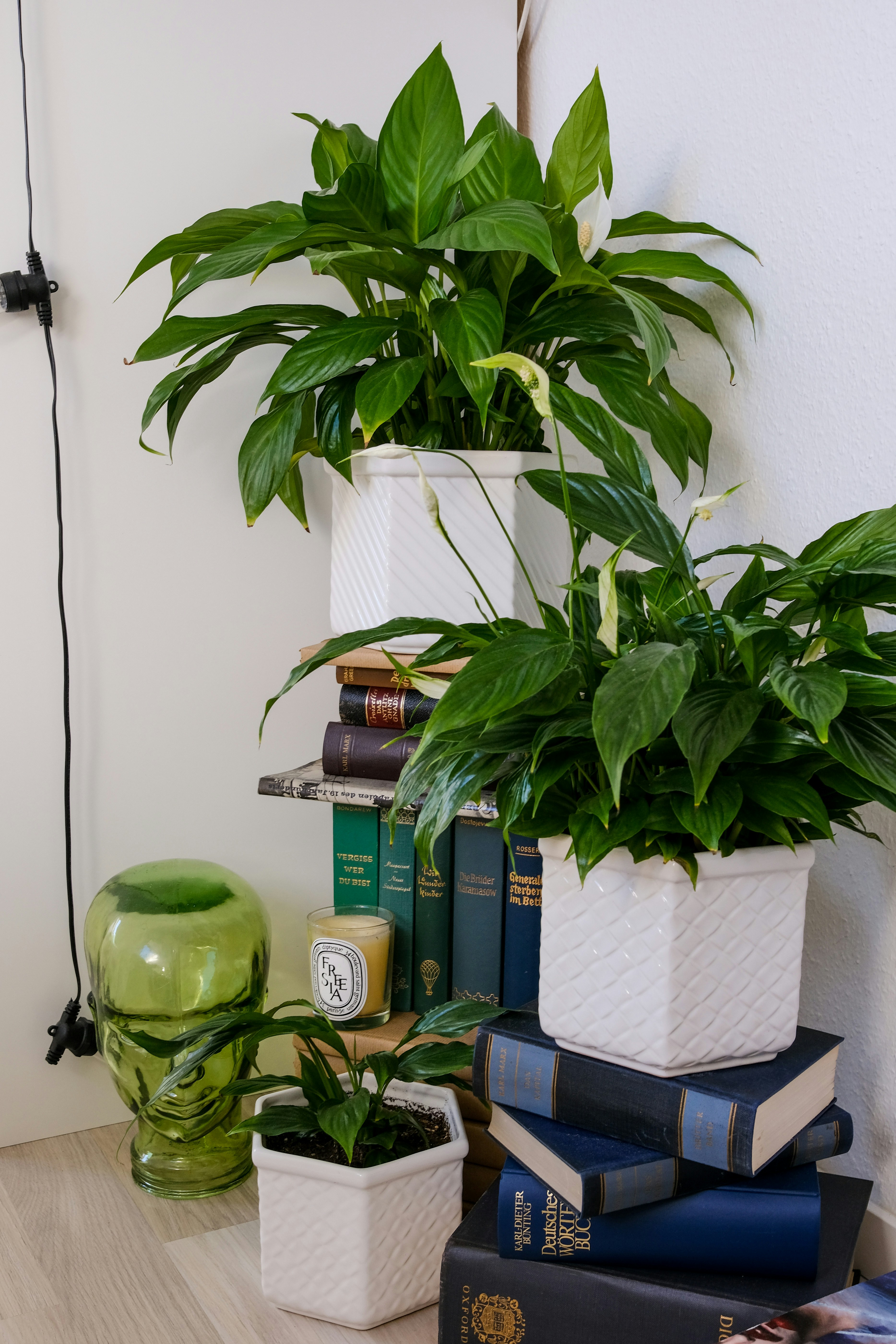 a stack of books sitting on top of a table next to a potted plant