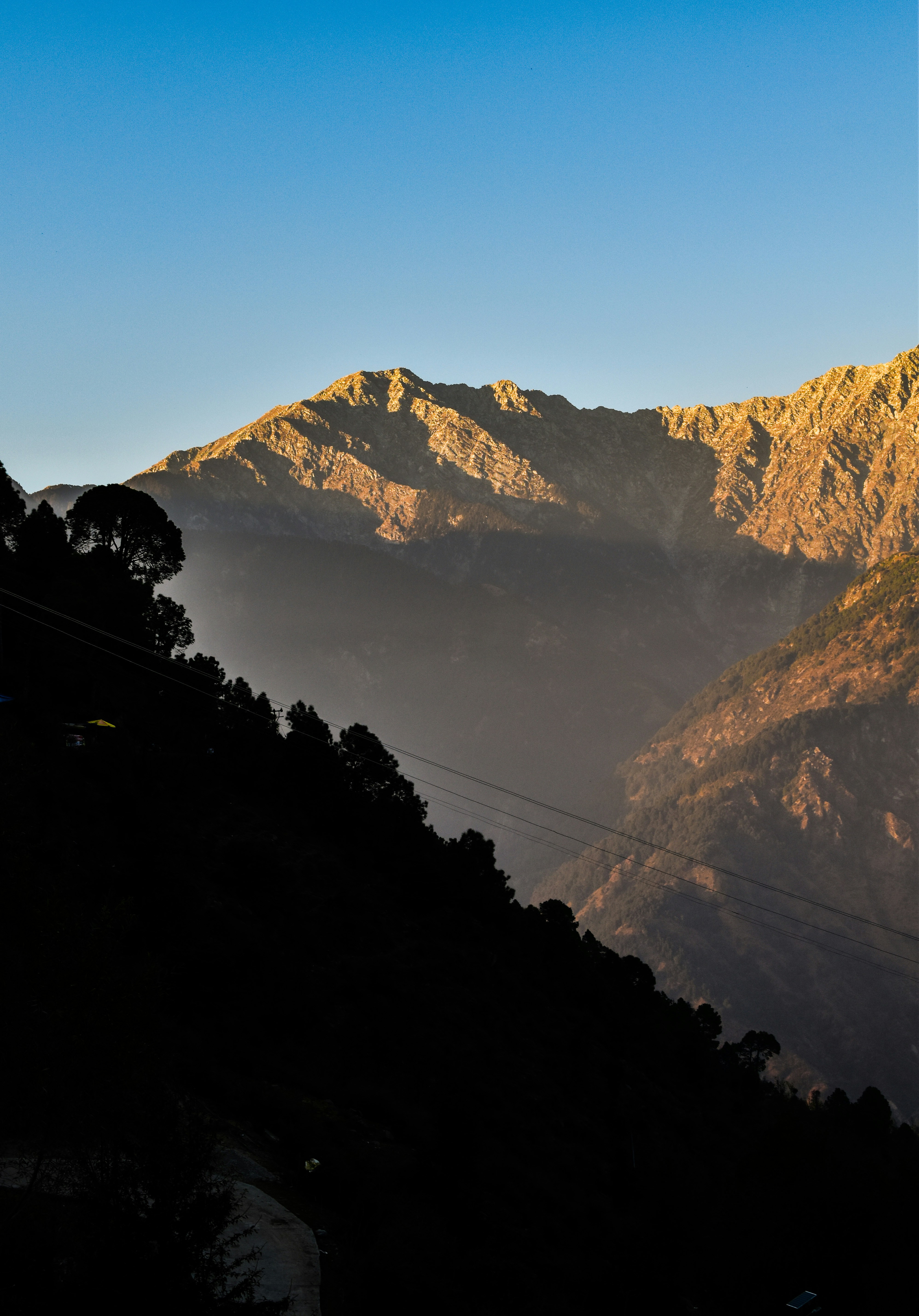 Majestic mountain range bathed in early morning light, with silhouettes of trees in the foreground and mist rolling through the valleys.