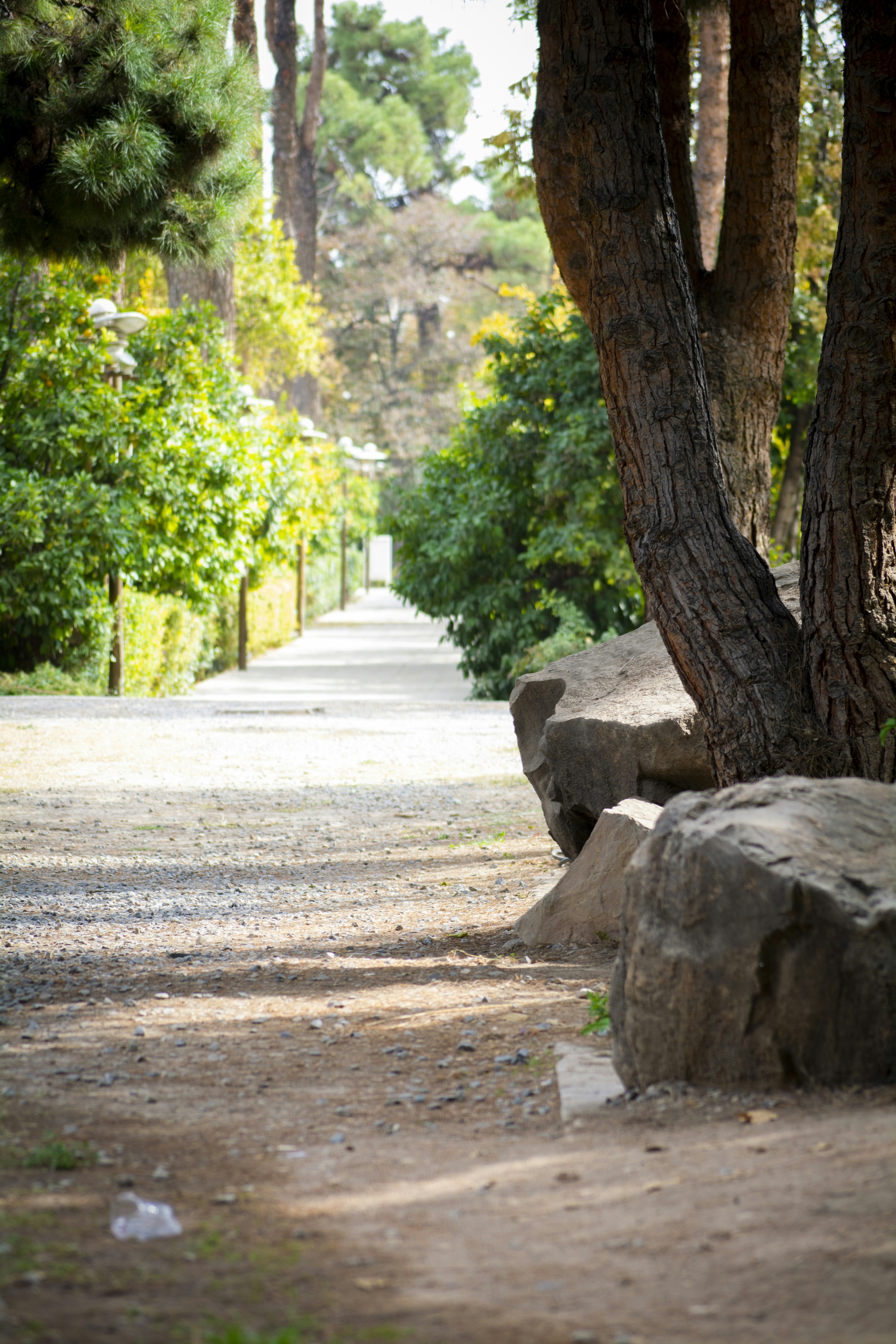 Ali zarrin (@ali_z9) | Unsplash Photo Community