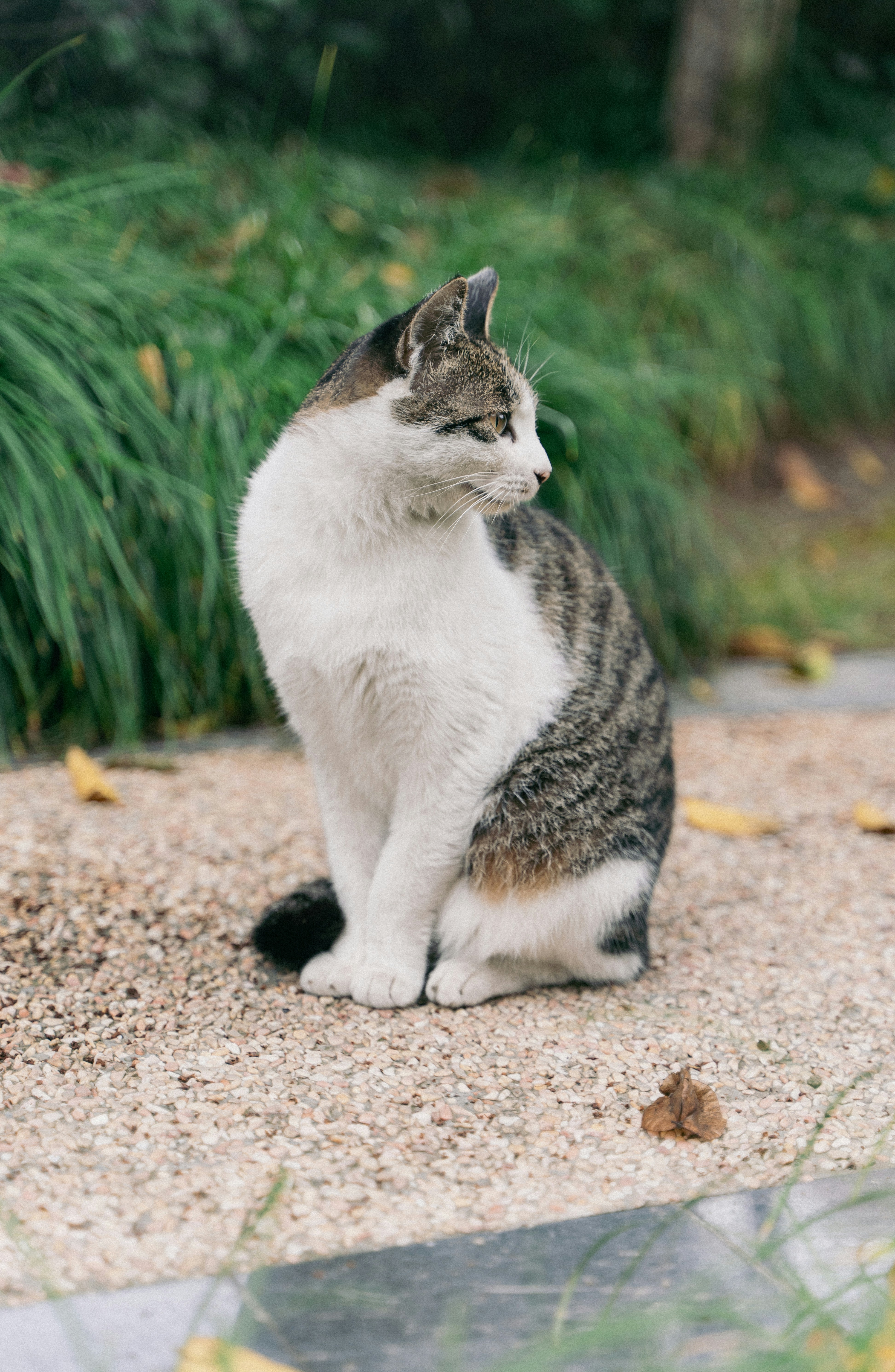 Photo by Yoo hoo with Sony Alpha 7 III