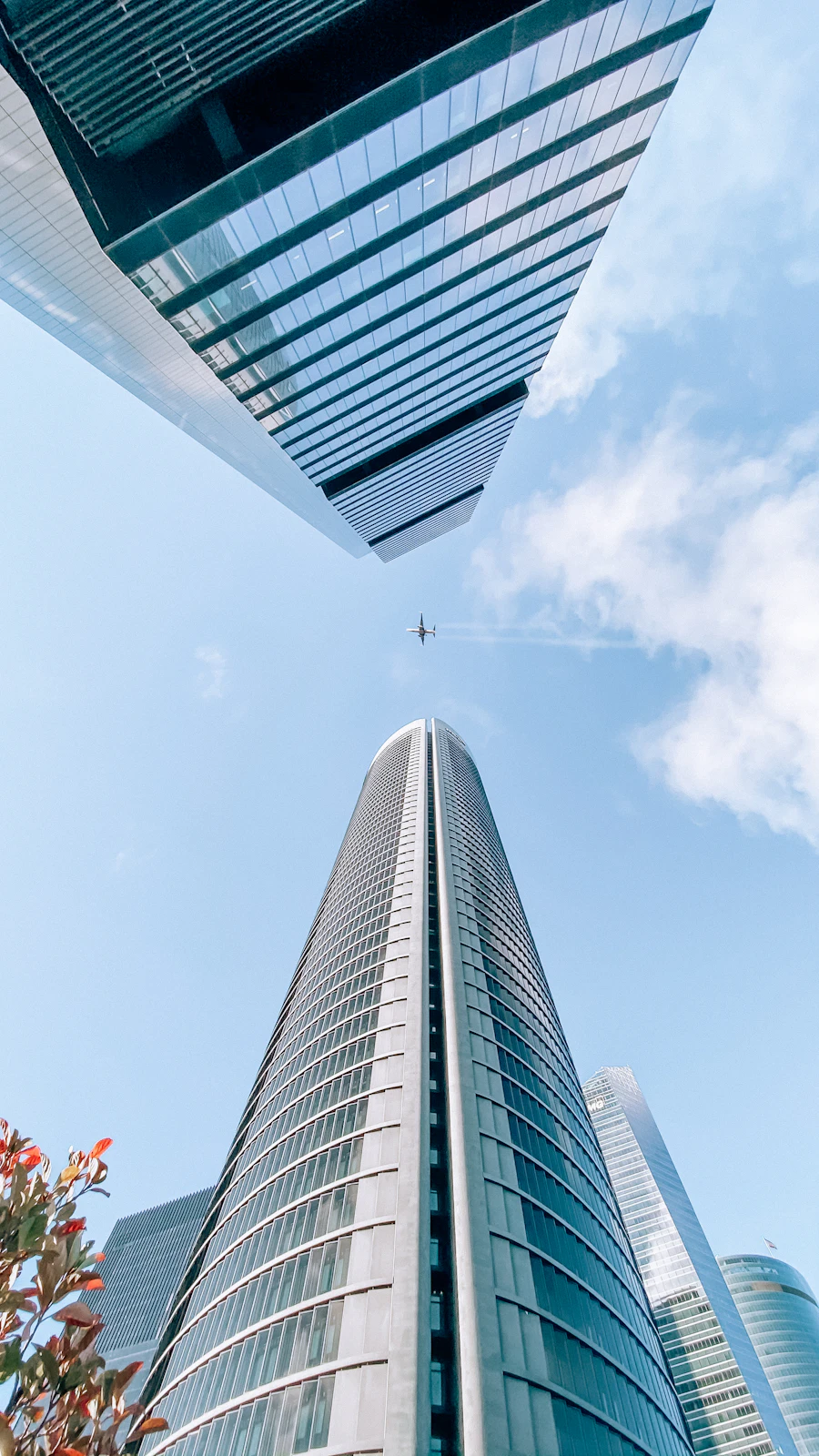 Low-angle view of curved glass skyscrapers reaching into a pale blue sky, with a small airplane centered above the main tower. Wispy clouds and a few leaves at the edge add depth.