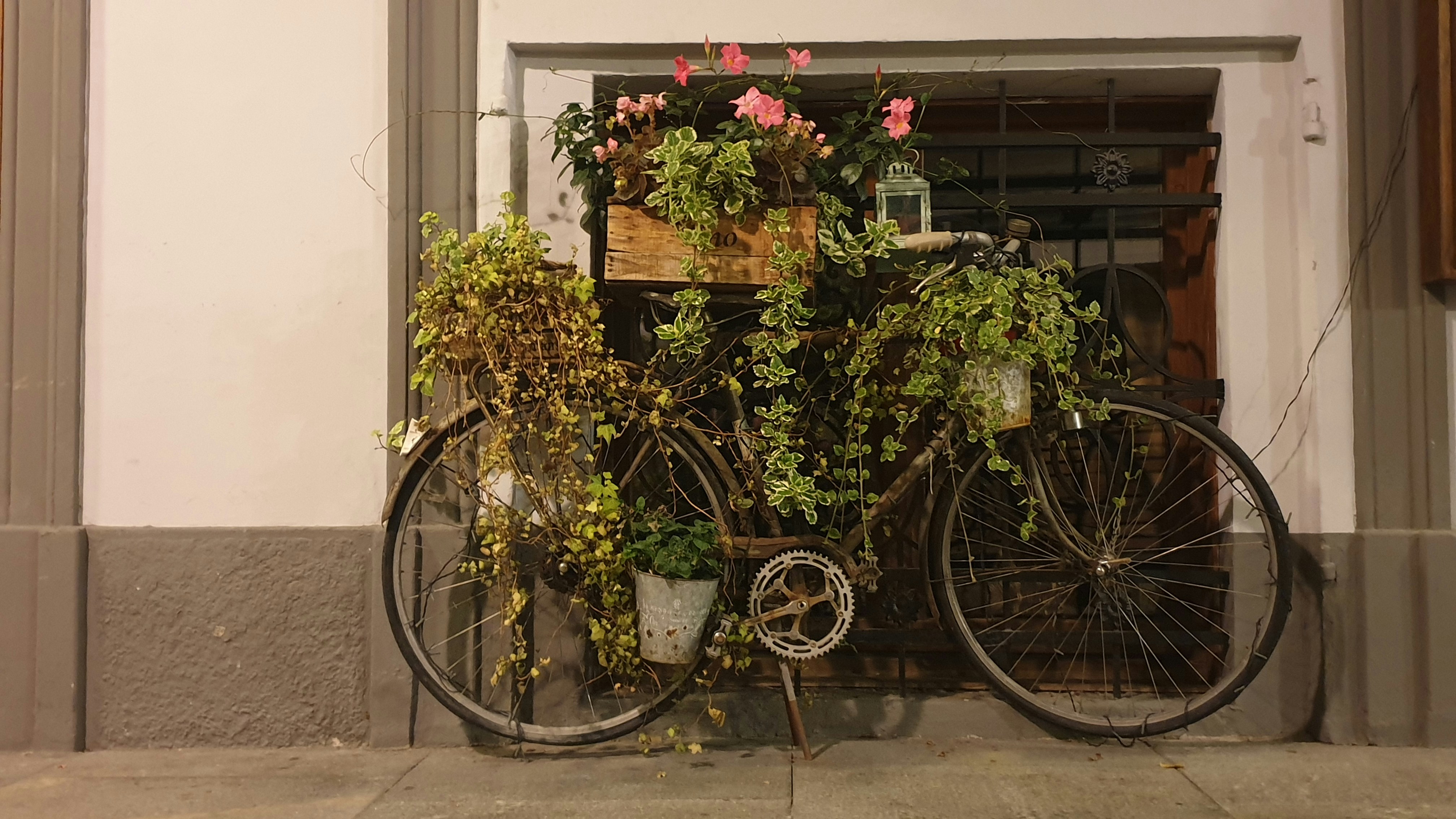 A vintage bicycle adorned with lush greenery and vibrant flowers, nestled against a rustic wall. The scene evokes a charming blend of urban life and nature.