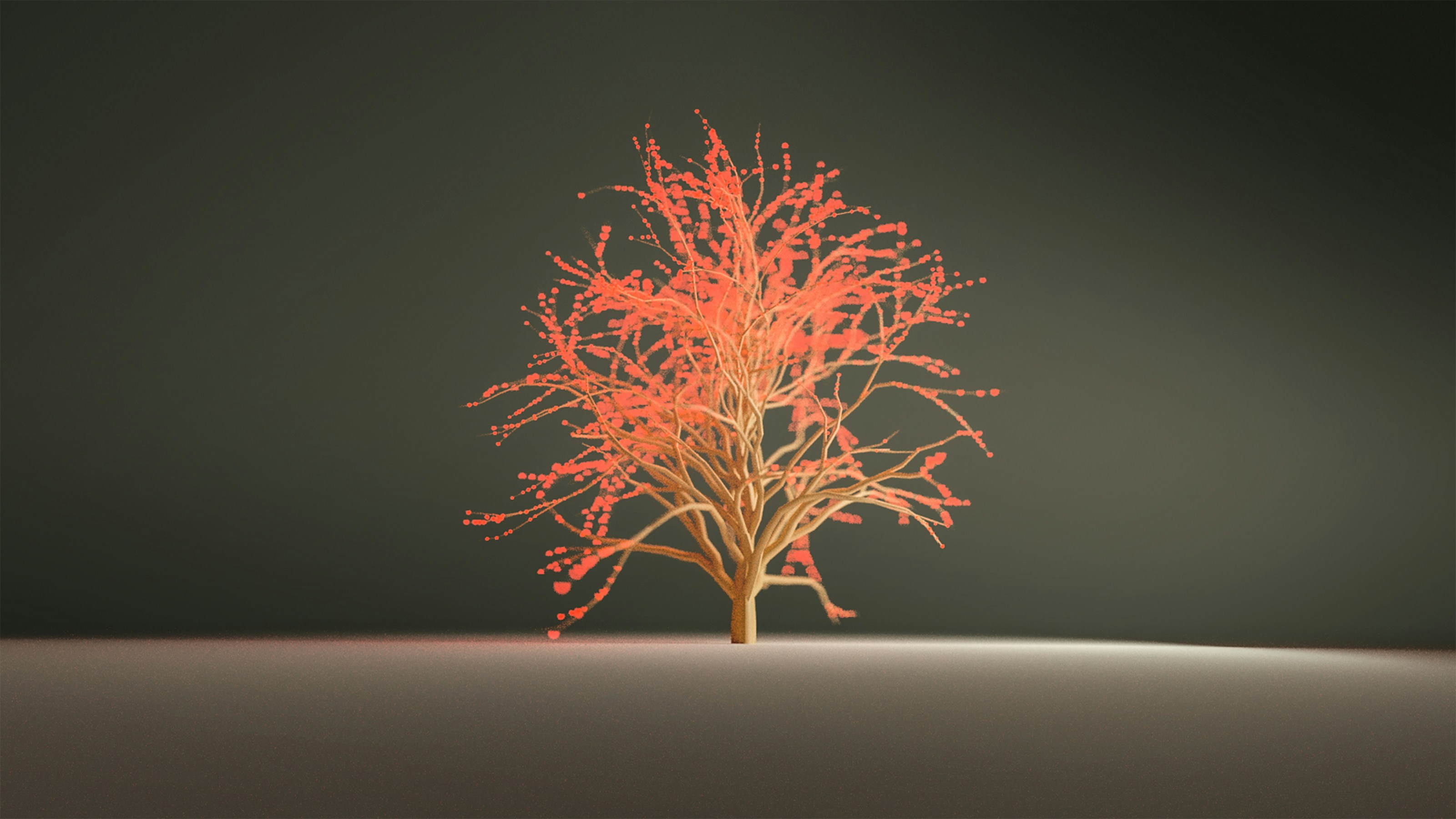 A small tree with red leaves on it photo – Free Nature Image on Unsplash