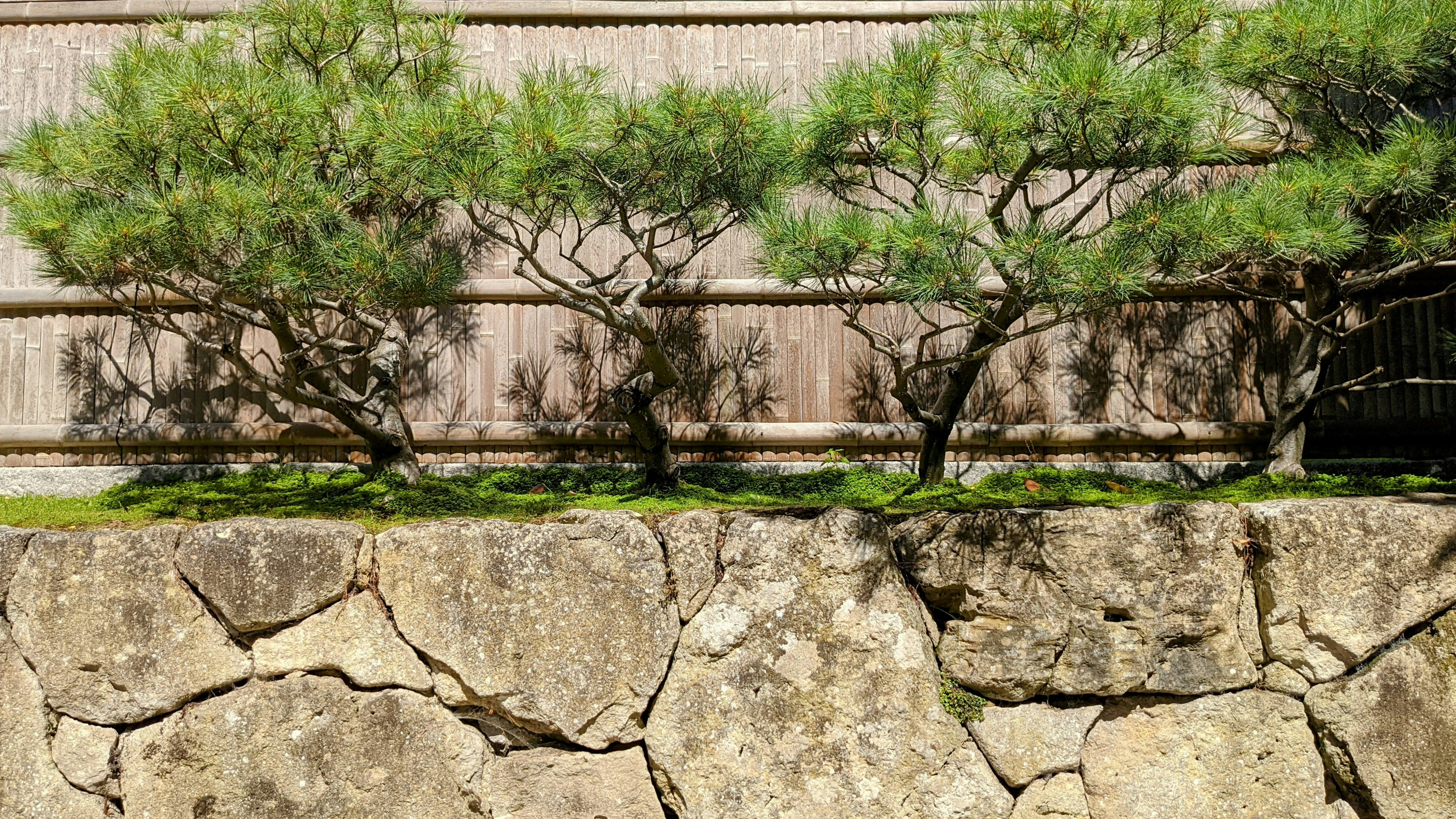 Kyoto garden at London's park