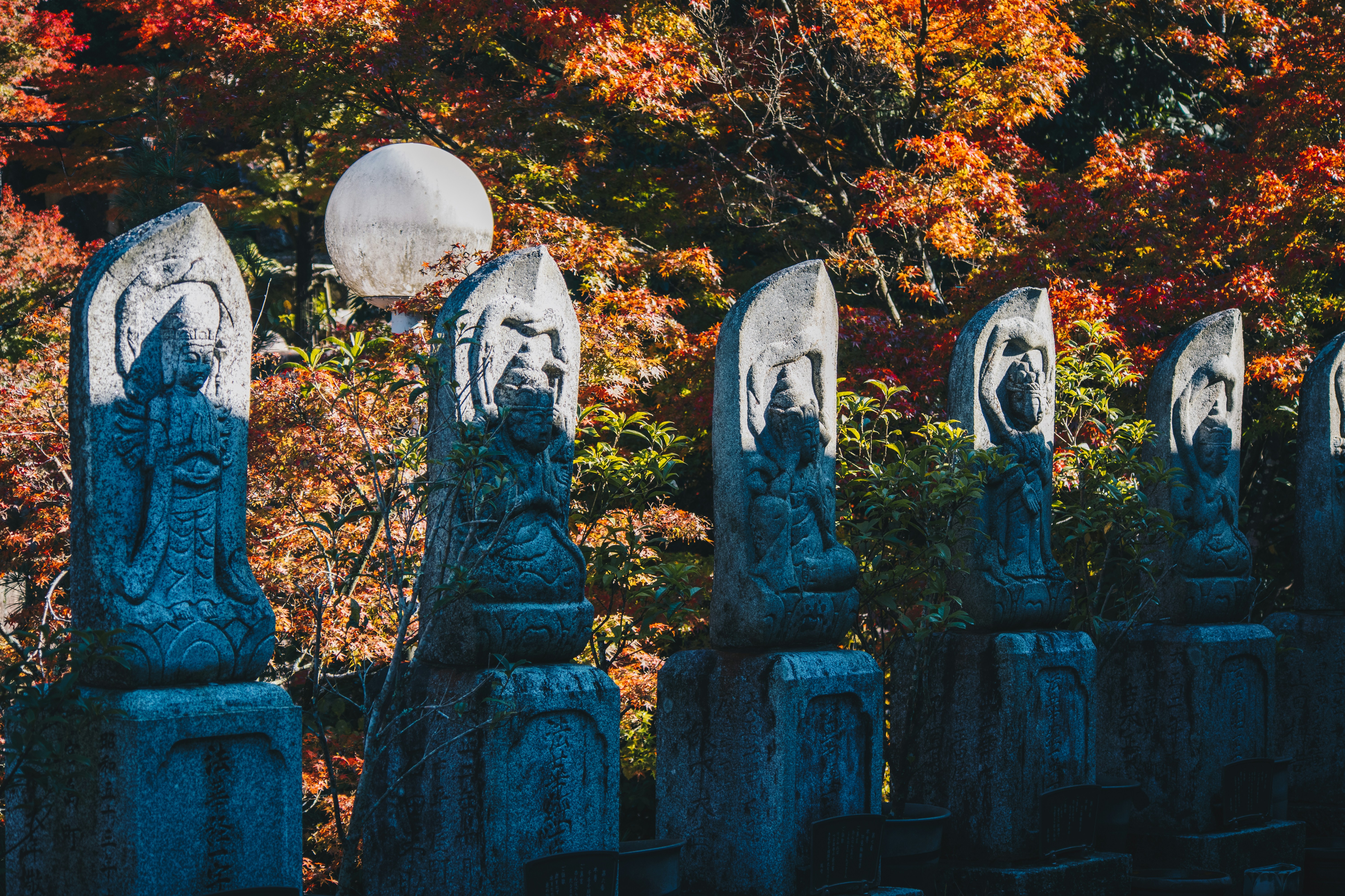 A row of stone heads in front of a forest photo – Free Japan Image on ...