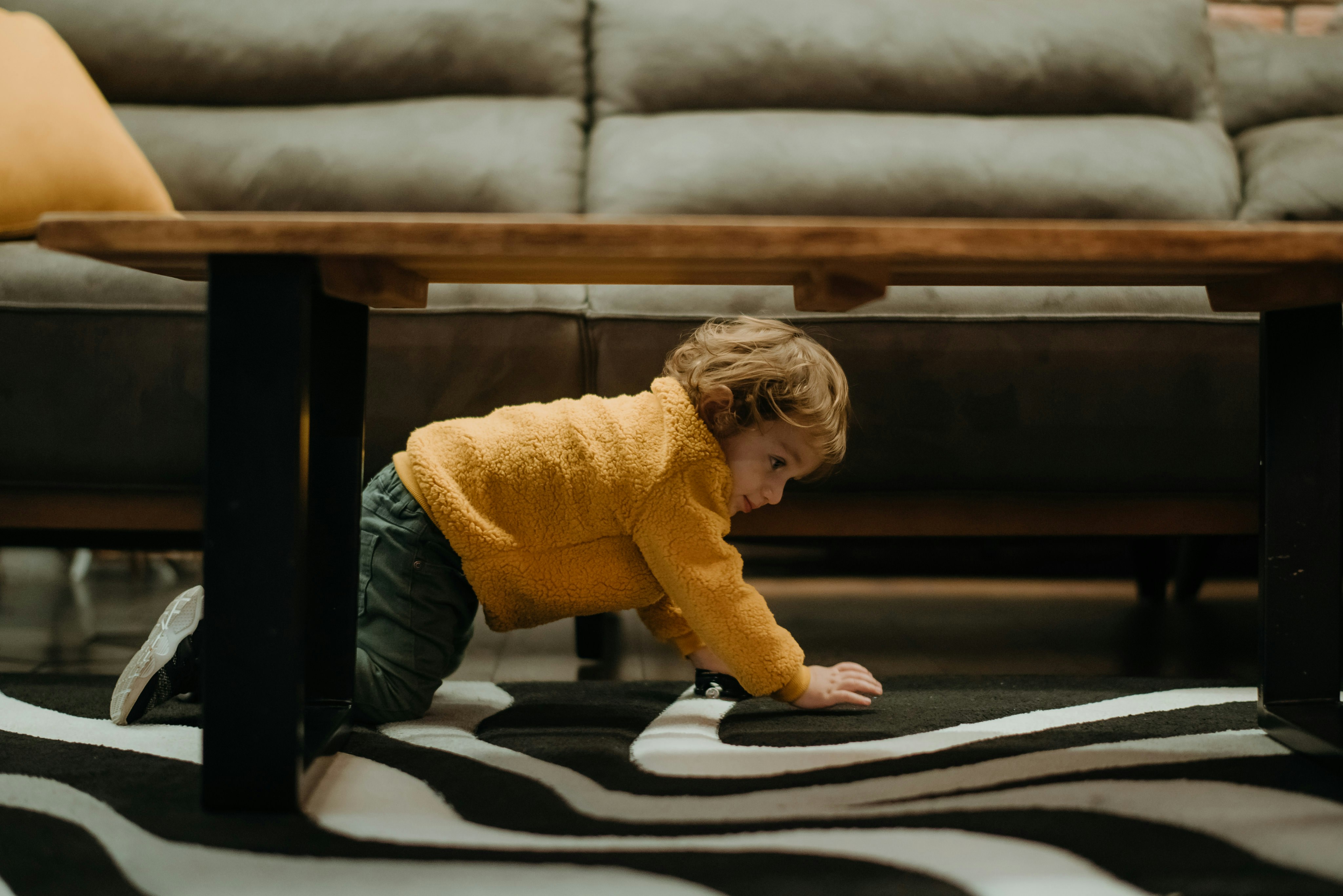 A toddler crawling under a table on a zebra rug photo – Free Brown ...