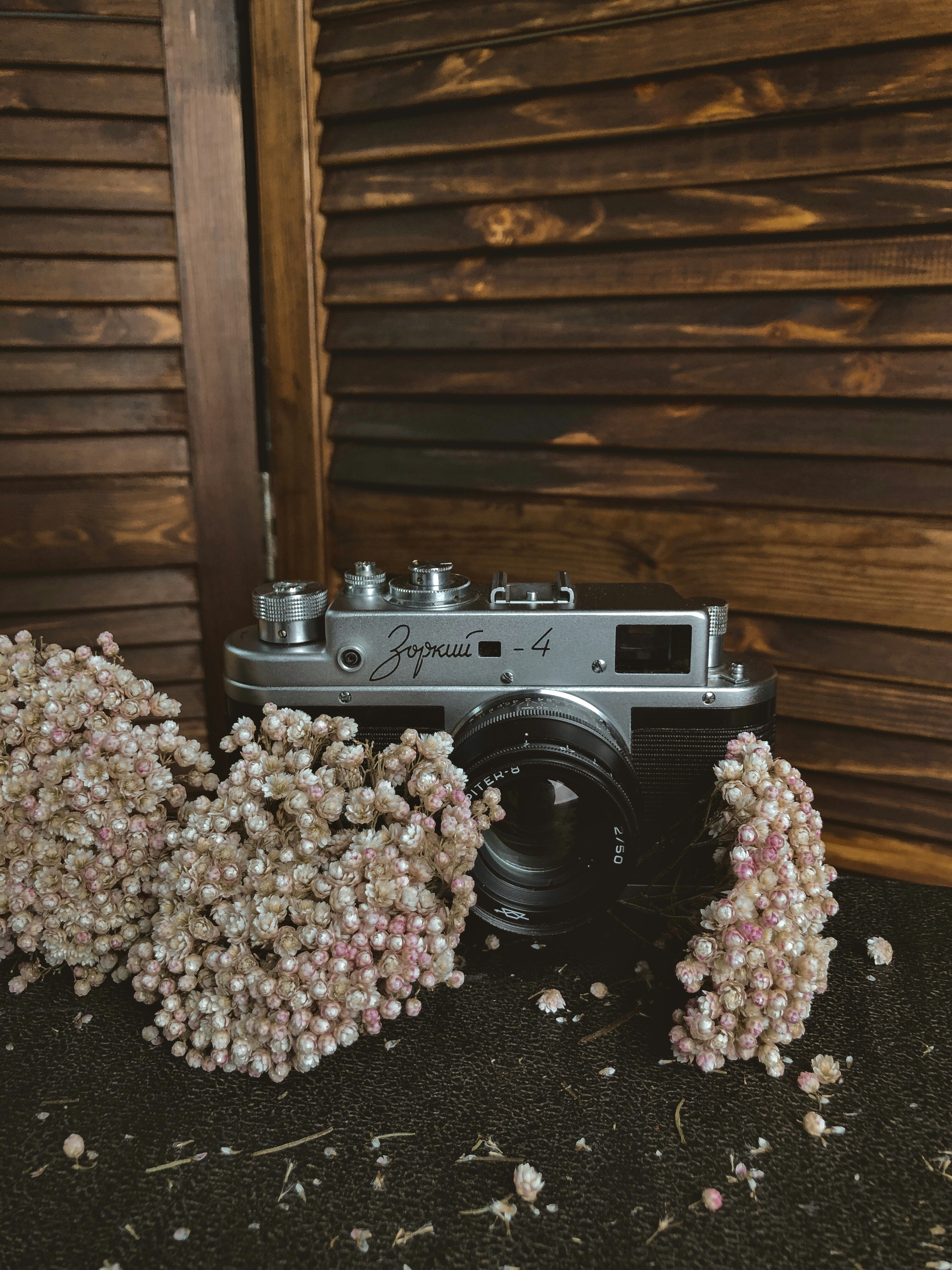Zorki 4 Amid Blush Clusters: Vintage Still-Life on Weathered Wood