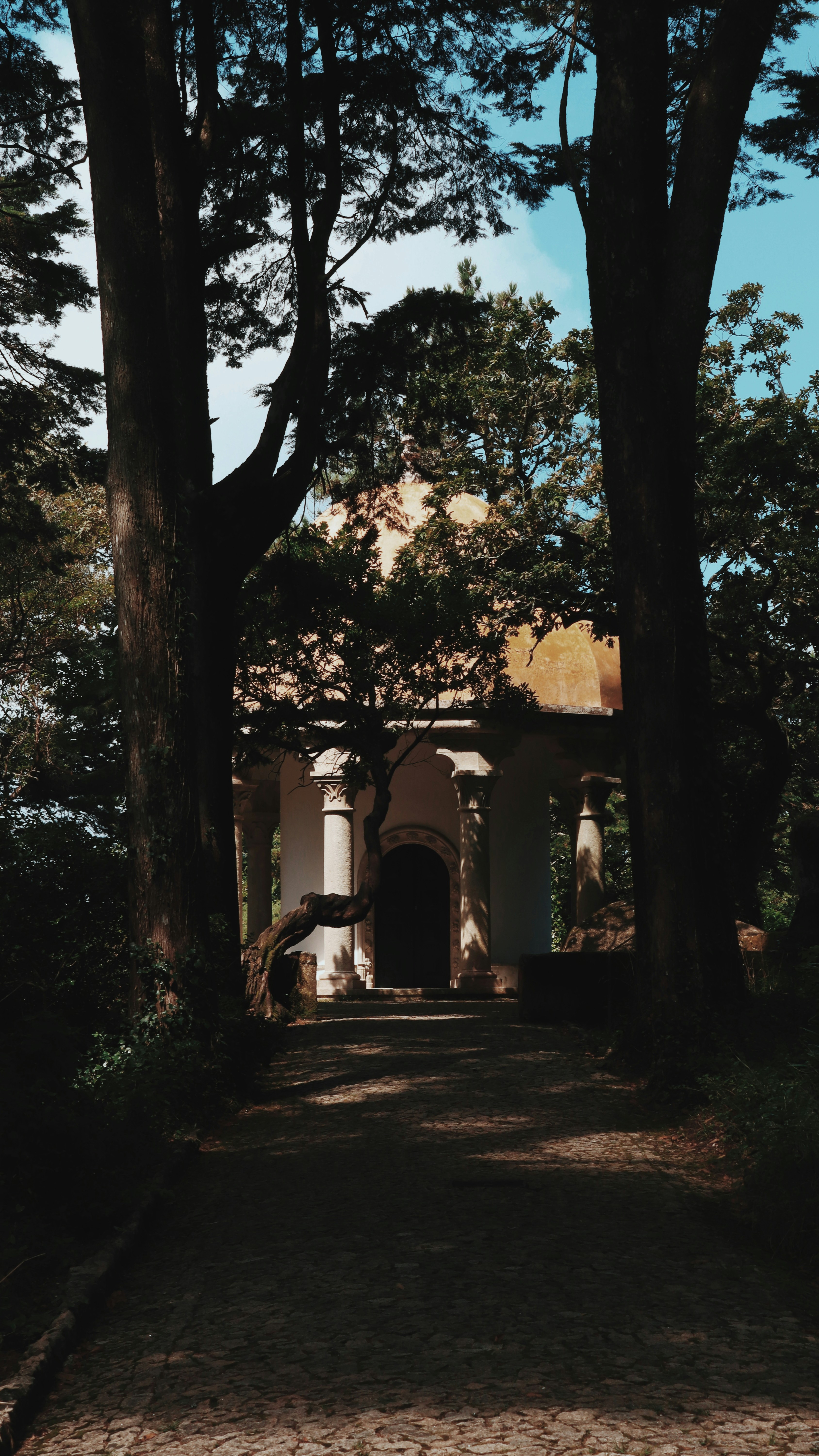 Pine-Framed Path to a Sunlit Chapel Portal