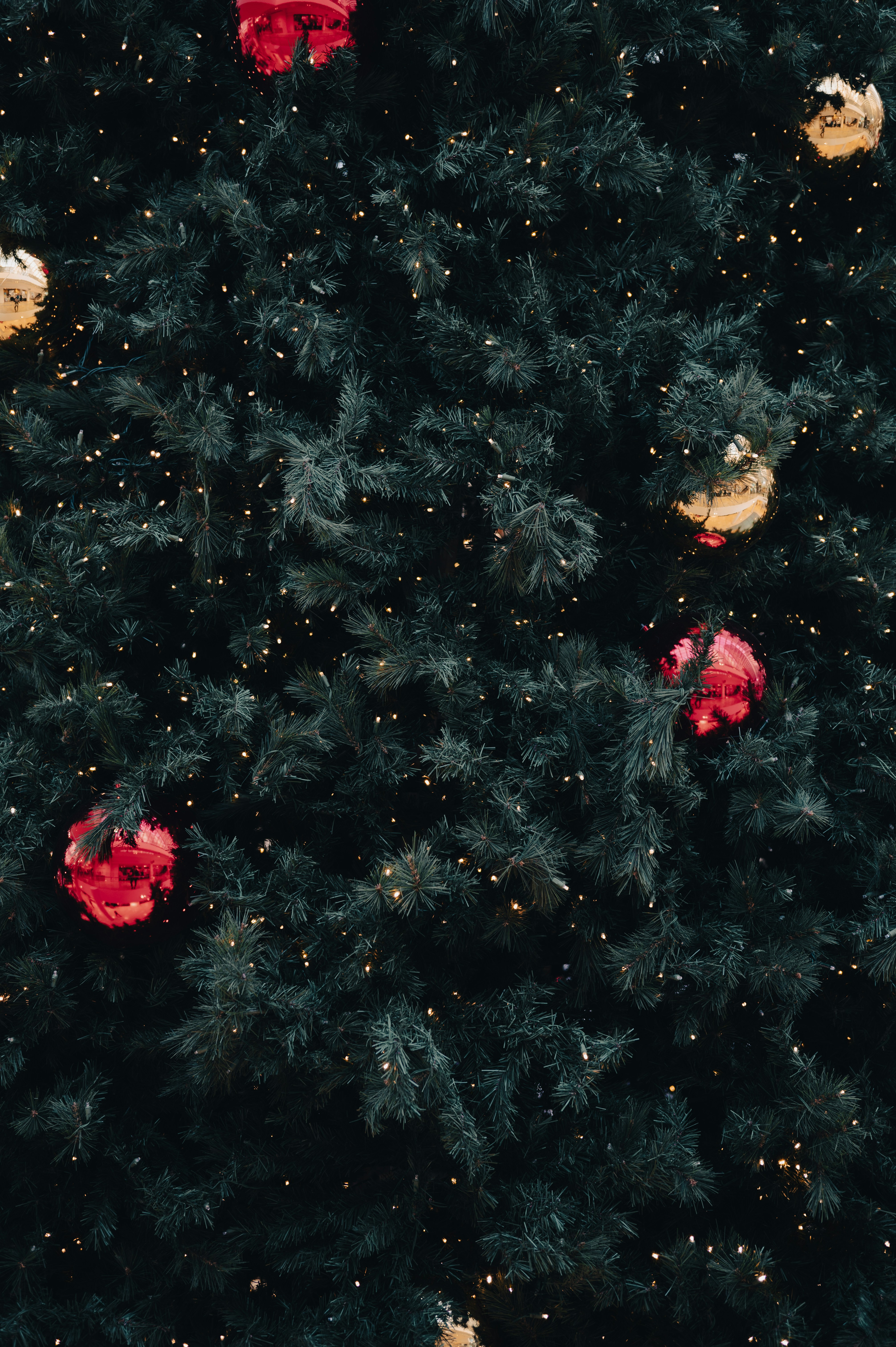 Twinkling Ornaments in a Dense Holiday Fir