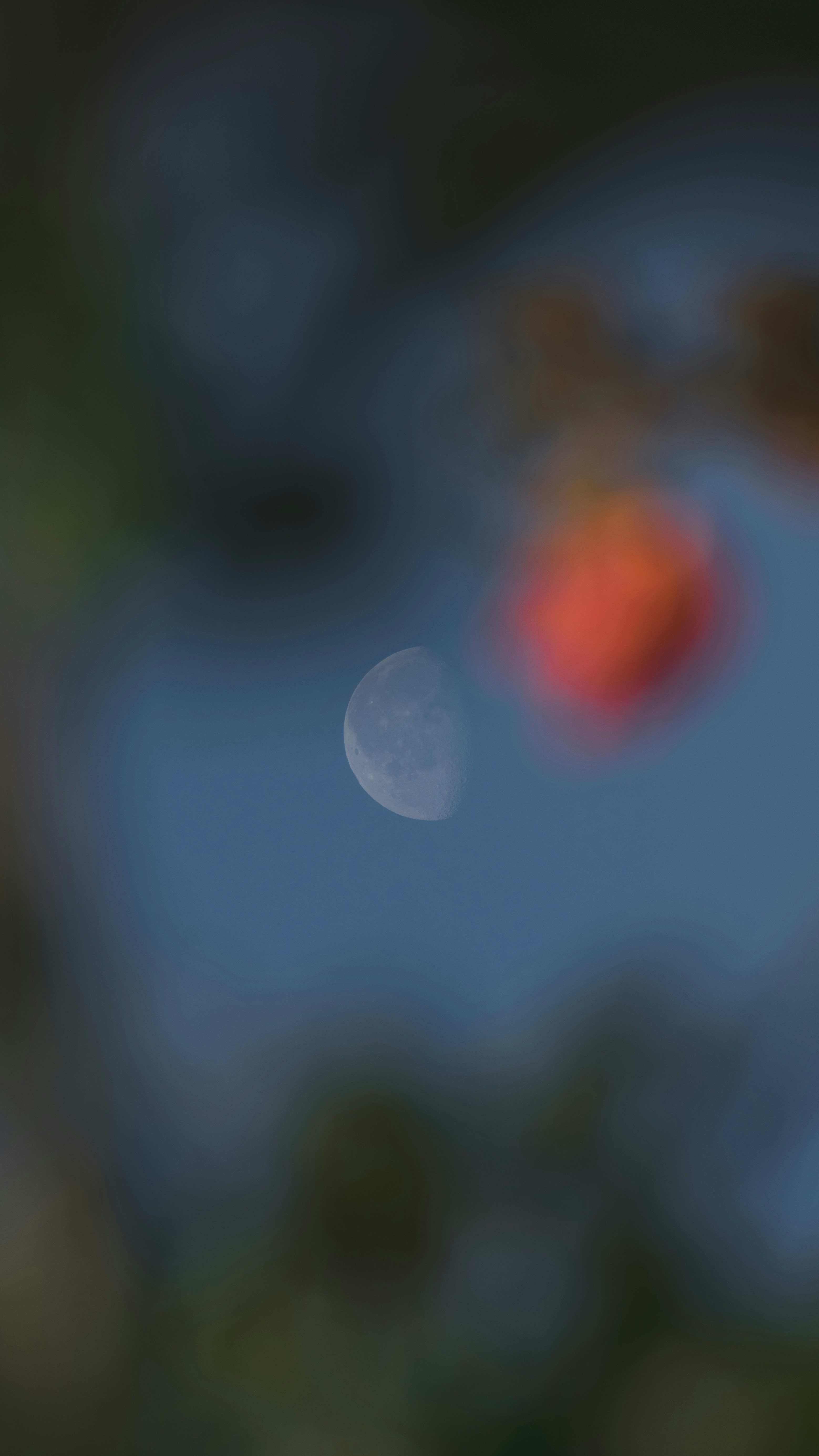 Moonlit Velvet Blur: A Night Garden with Ruby Bokeh