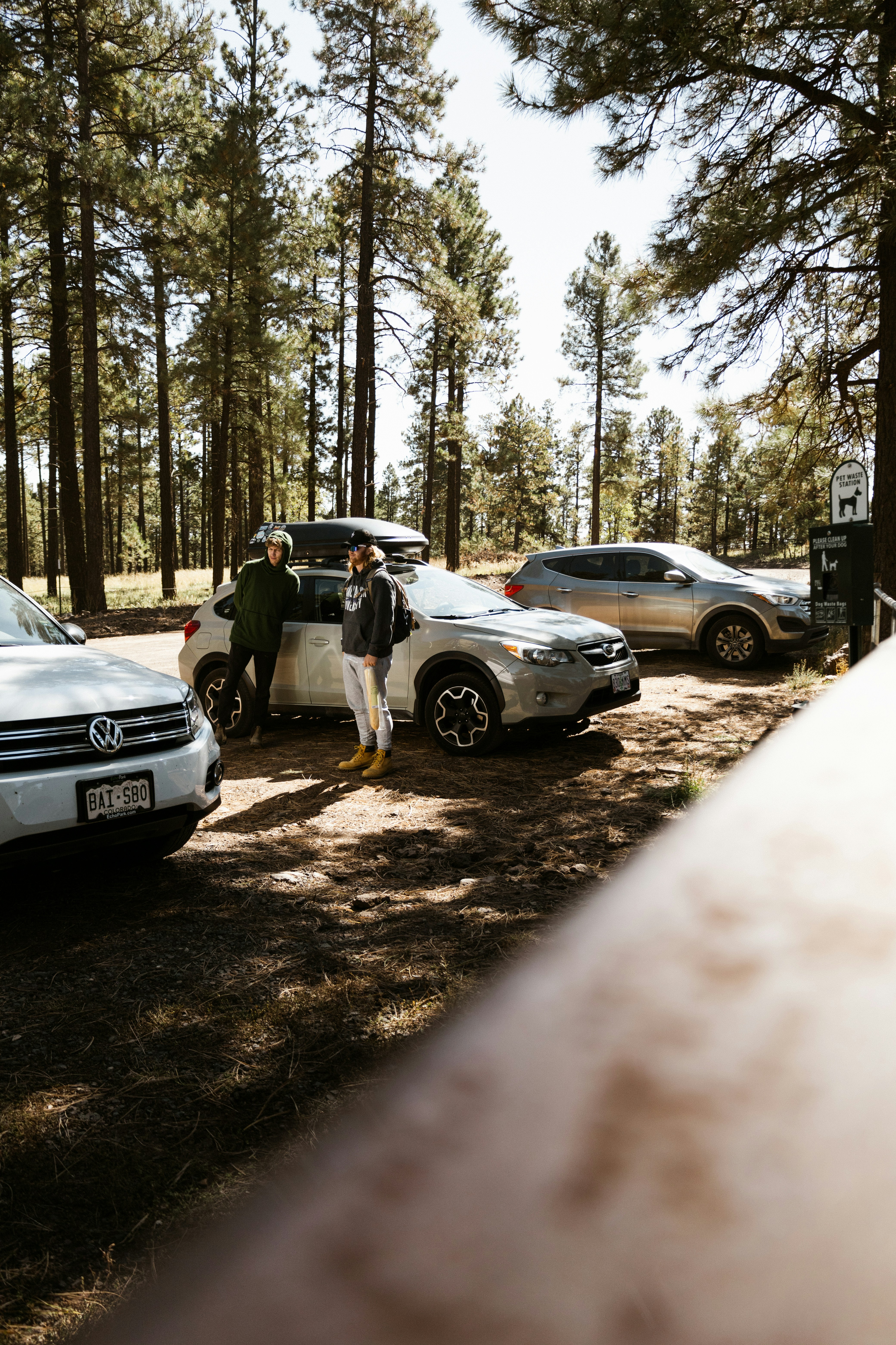 Pine Grove Pit Stop: Two Travelers Chat beside a White SUV