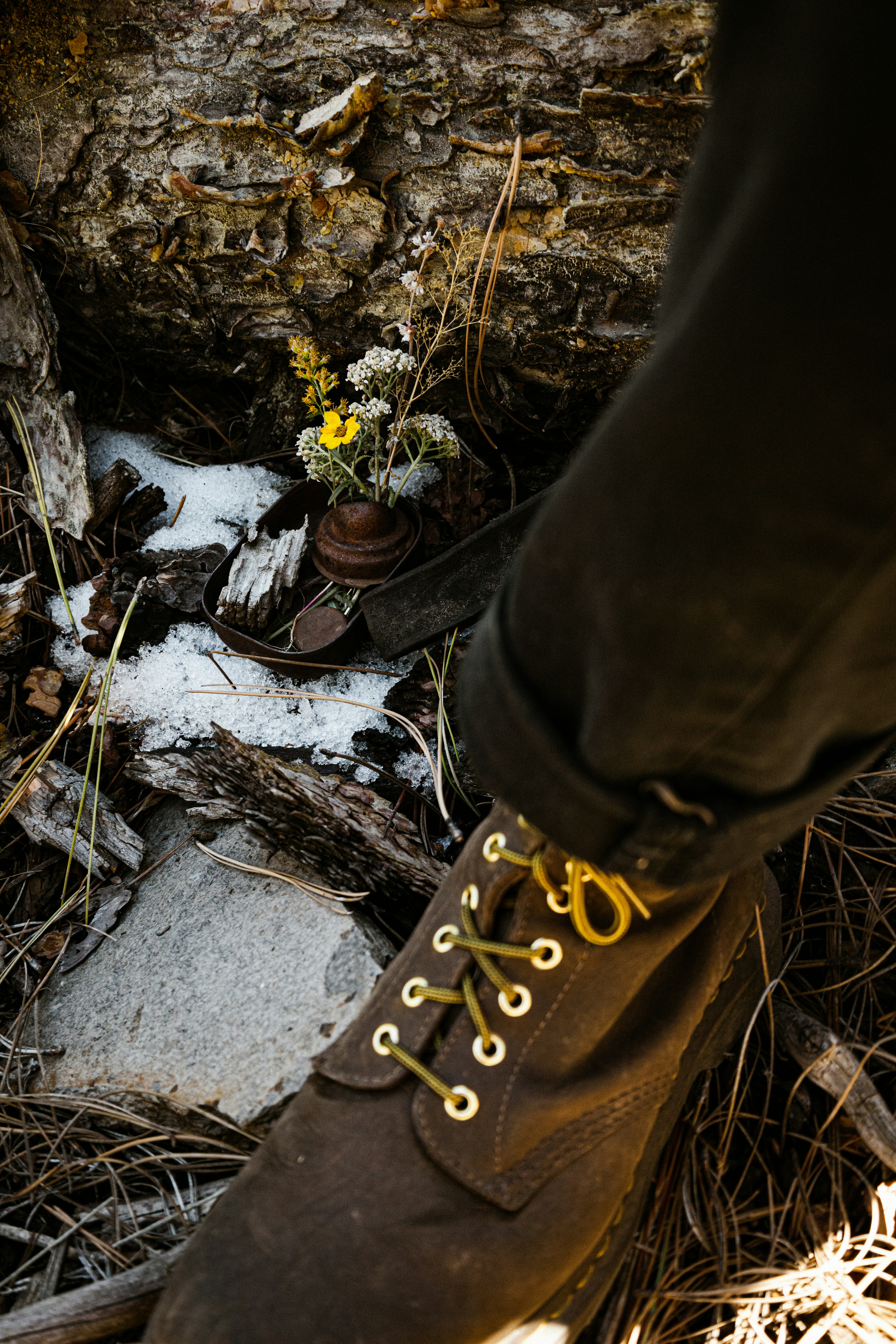 Boot-Prints and a Tiny Bouquet: A Quiet Forest Still-Life