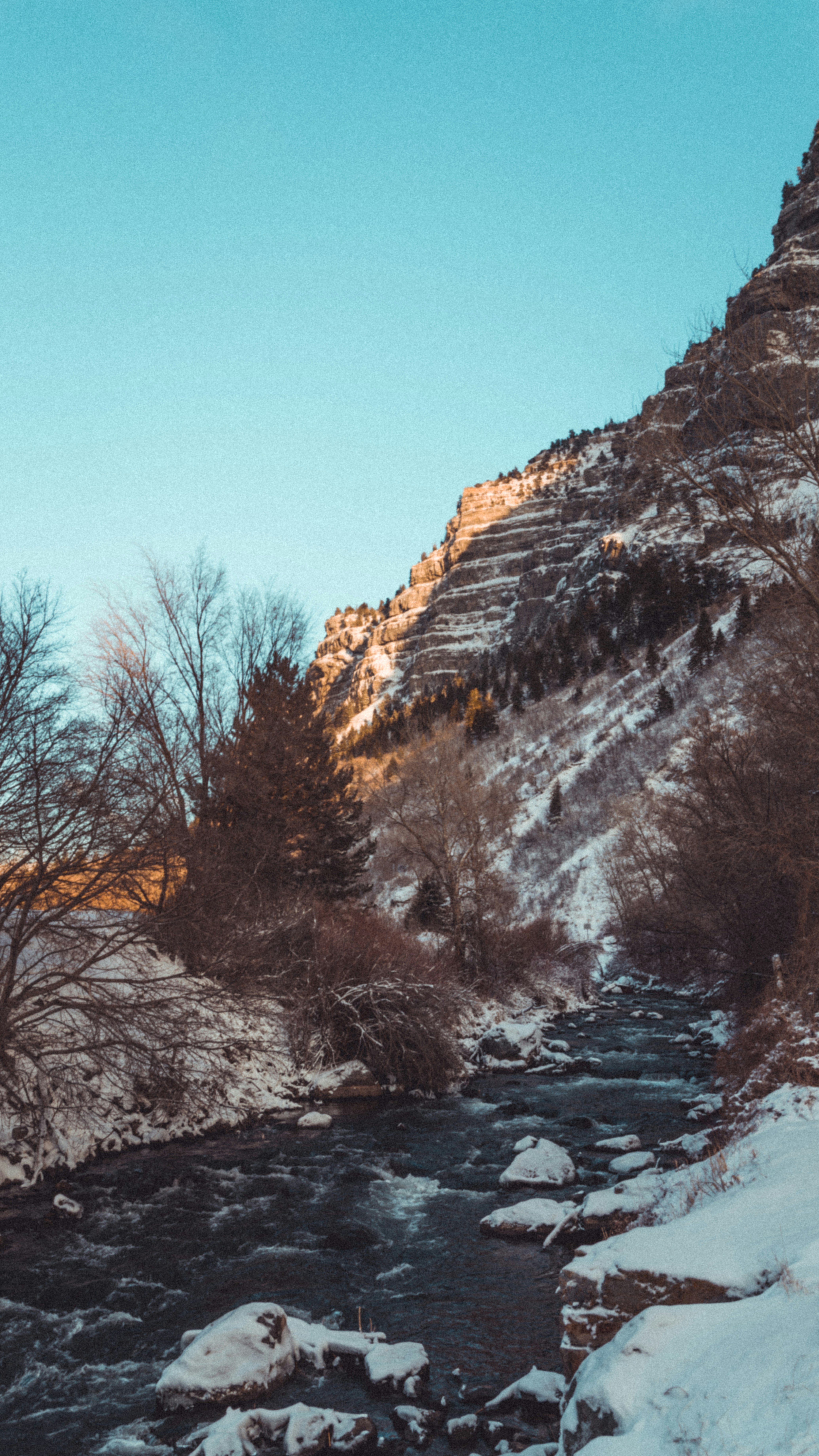 A stream running through a snow covered forest photo – Free Building ...