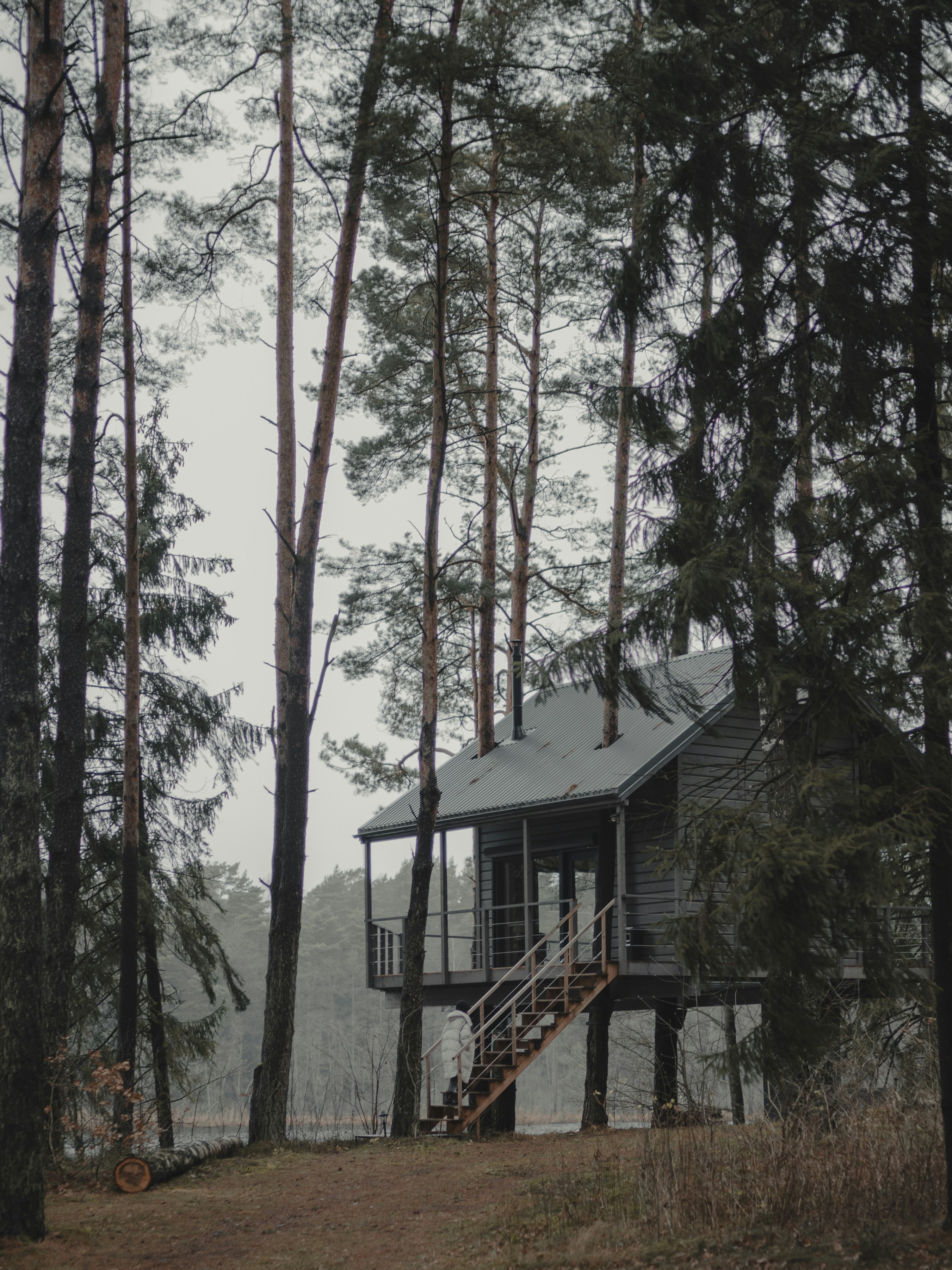 A charming wooden cabin elevated on stilts, surrounded by tall pine trees in a tranquil forest setting. The muted tones evoke a sense of calm and isolation.