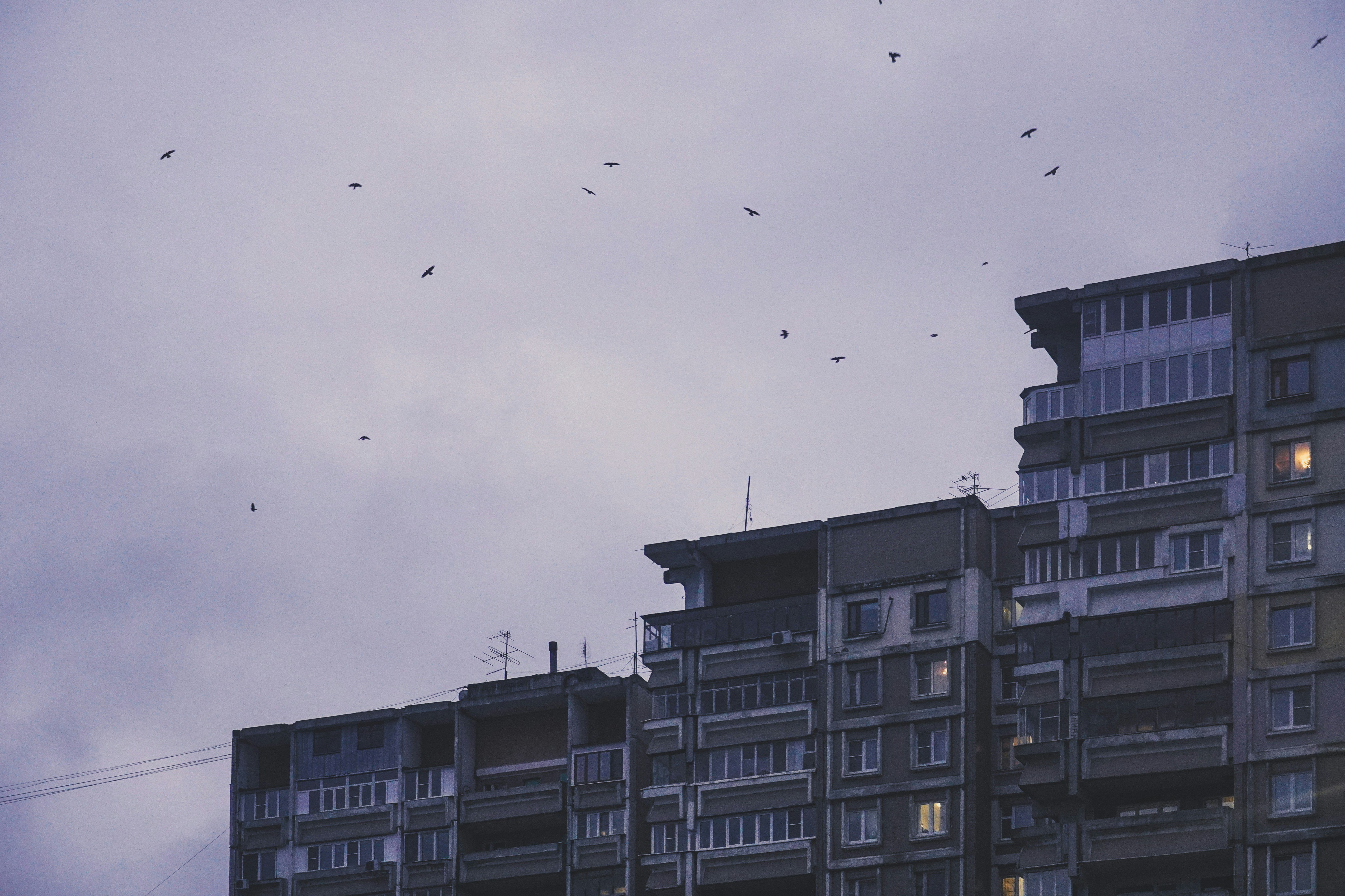 A cluster of high-rise buildings under a twilight sky, with birds silhouetted against the fading light. One window glows warmly, hinting at life within.