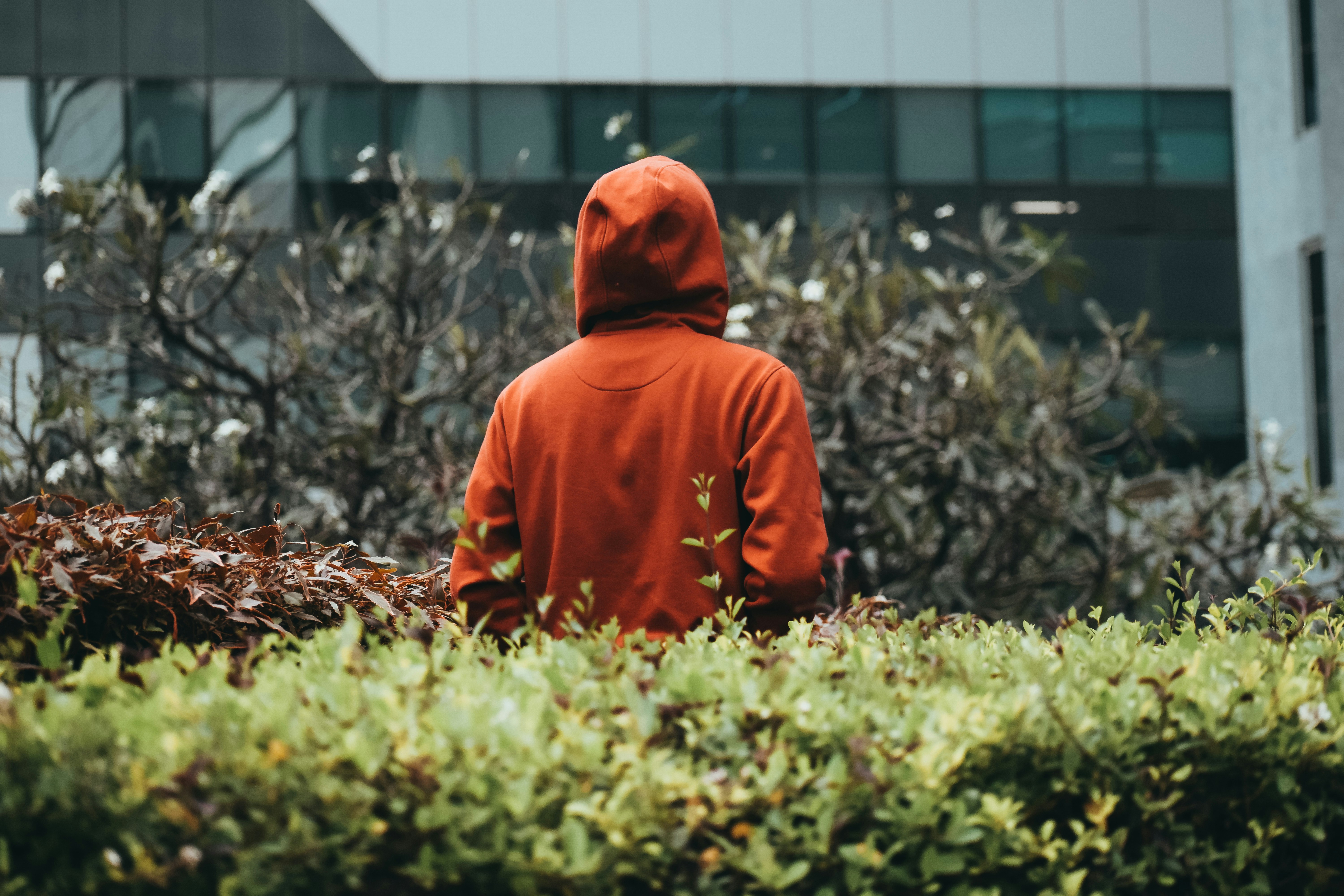 Urban Hedge Portrait: The Orange Hoodie in Quiet Focus
